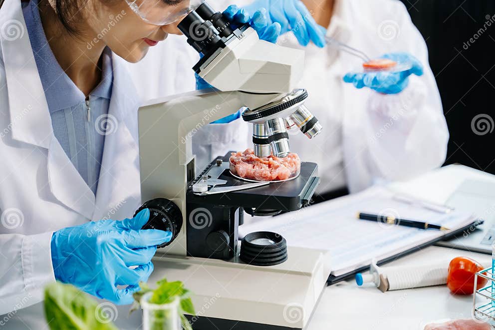 Food Scientists in Lab Coats, Testing Samples, and Analyzing Food ...