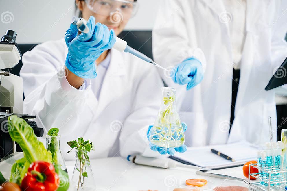 Food Scientists in Lab Coats, Testing Samples, and Analyzing Food ...