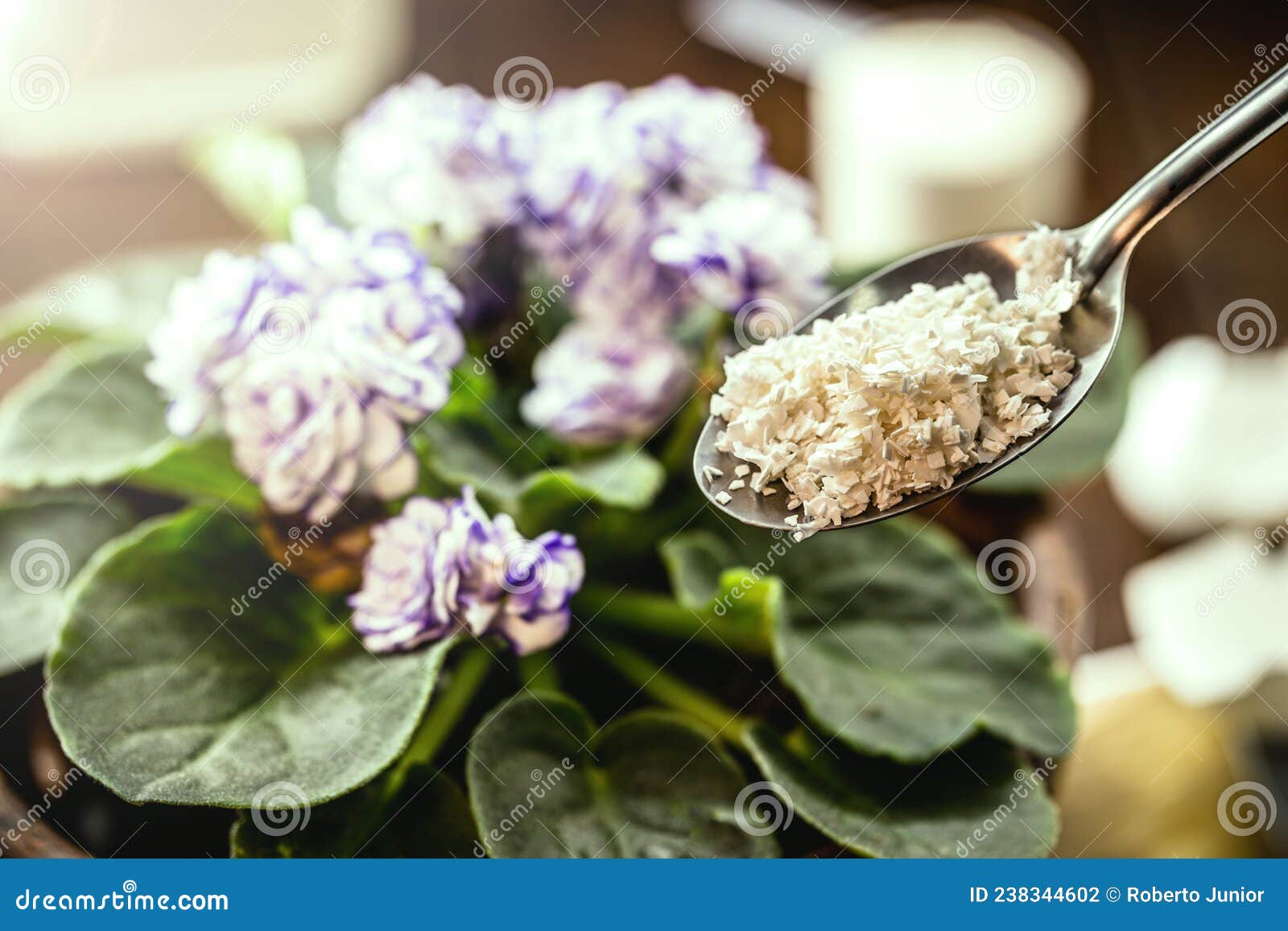 Food Scraps Used As Compost, Eggshell As Plant Root Vitamin Stock Photo ...