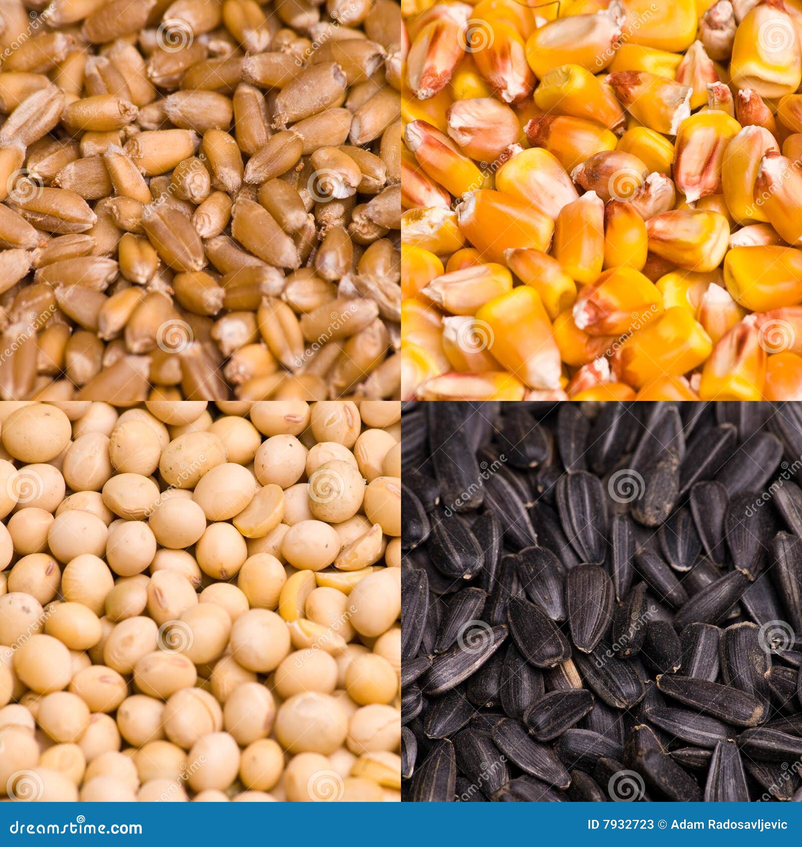 Food Seeds stock image. Image of grain, product, food - 7932723