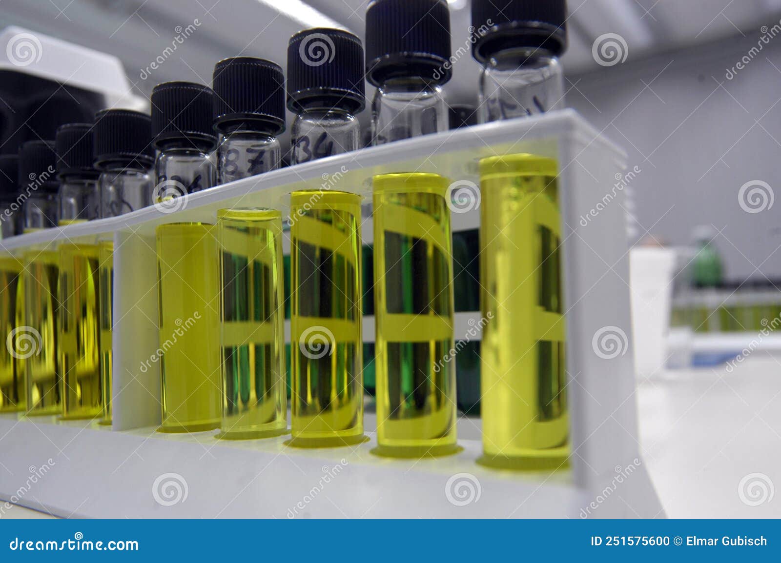 Food Testing by Odor Test or Smell Test Stock Photo - Image of research ...