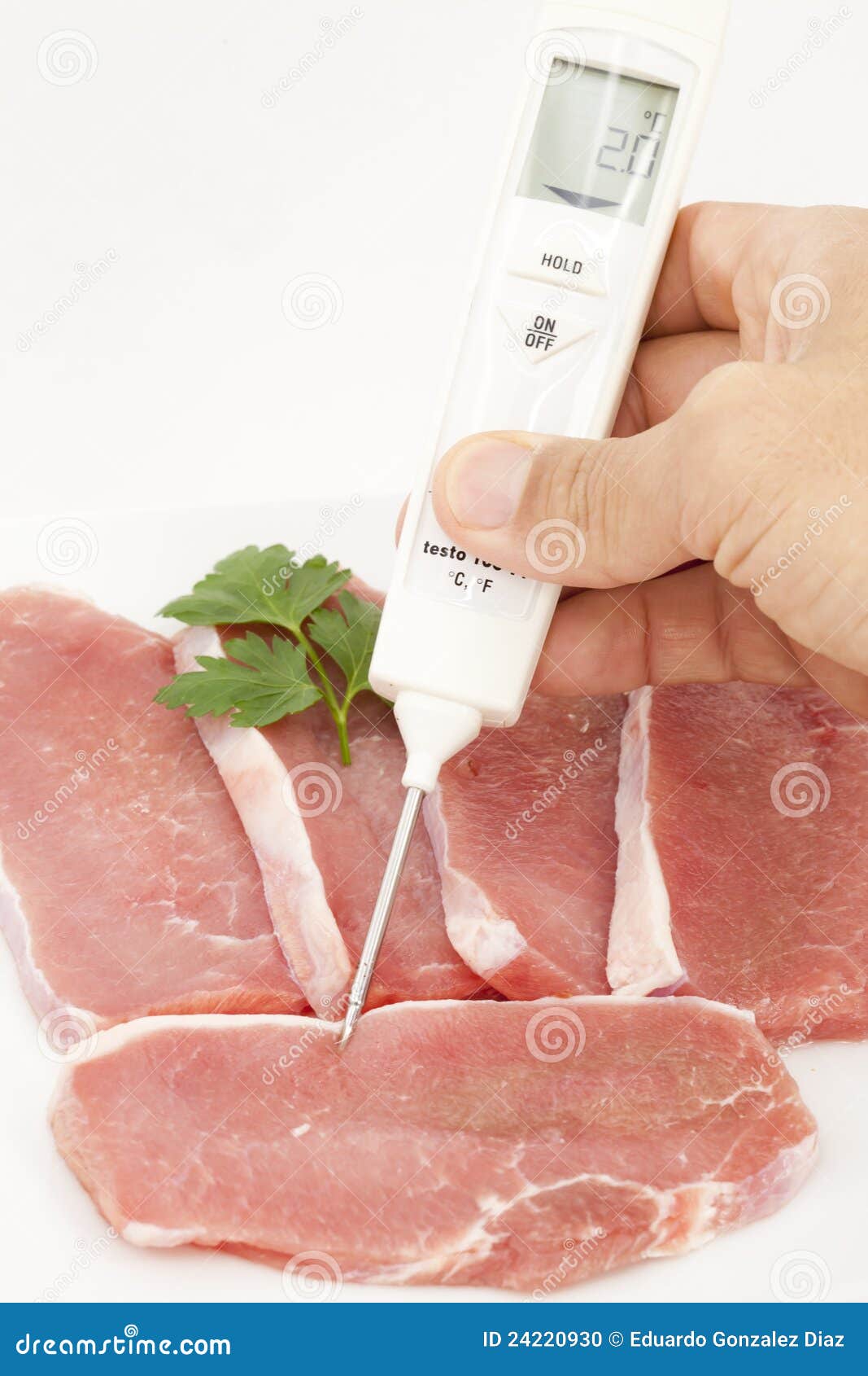 Food Thermometer stock photo. Image of cool, security - 24220930