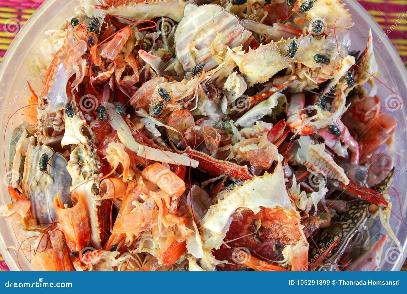 Food Trash, Crab Shell and Shrimp Shell Stock Image - Image of kitchen ...