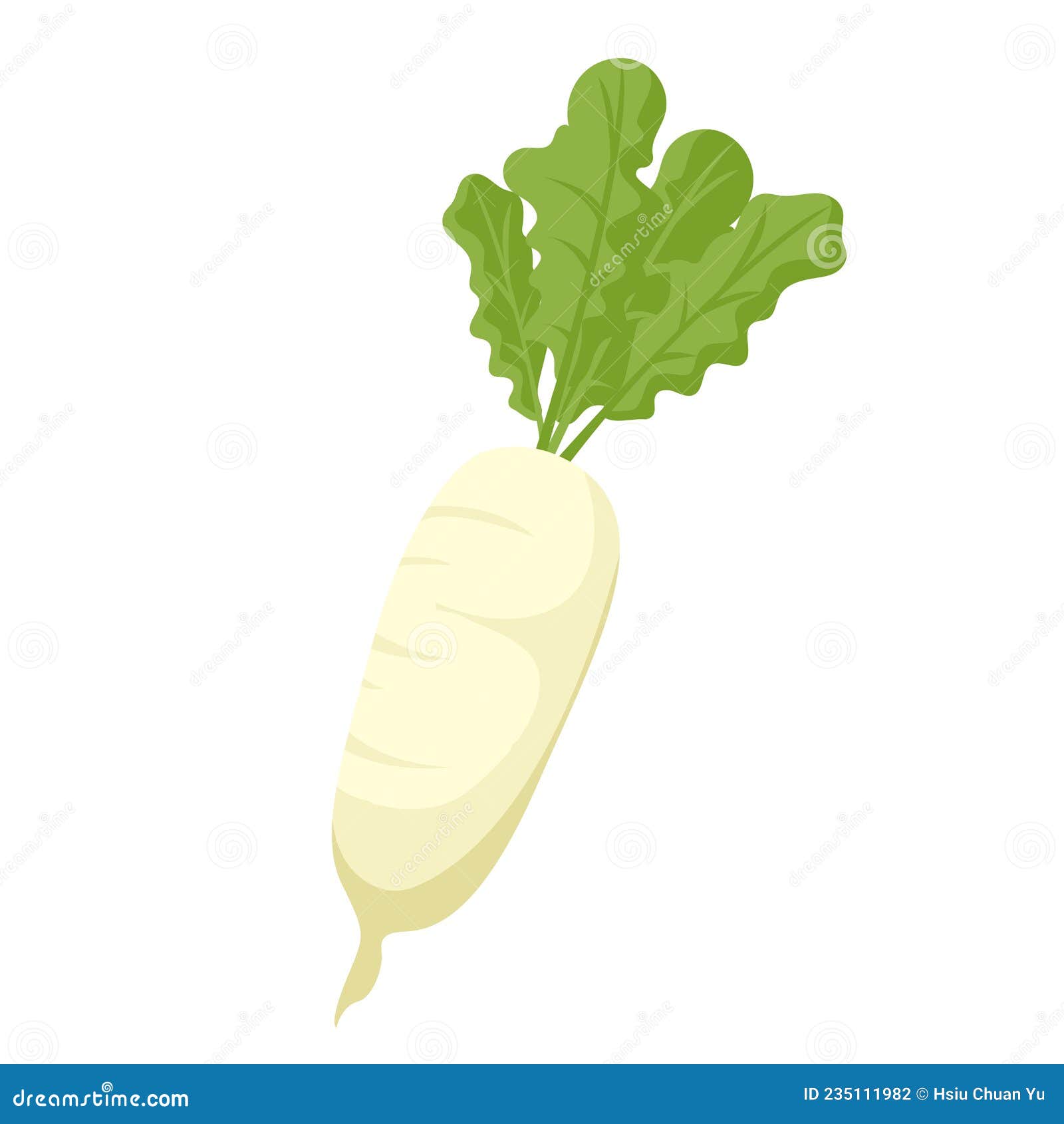 Raddish Cartoons, Illustrations & Vector Stock Images - 110 Pictures to ...