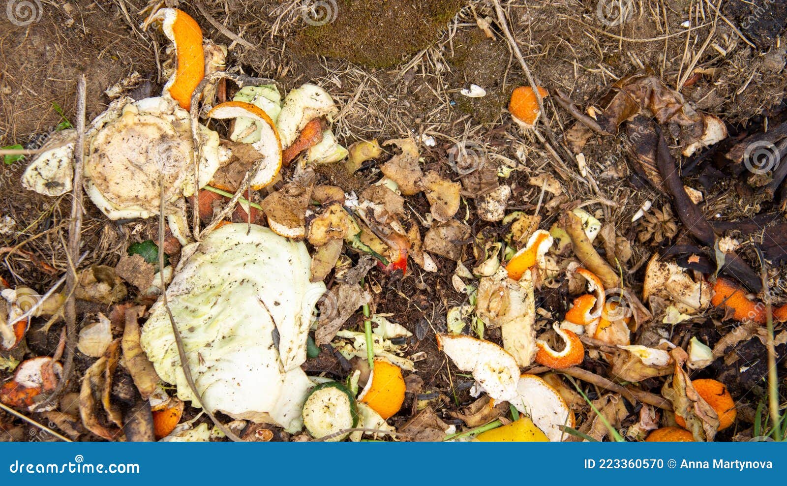 Food Waste in a Compost Heap. Stock Photo - Image of fermentation ...