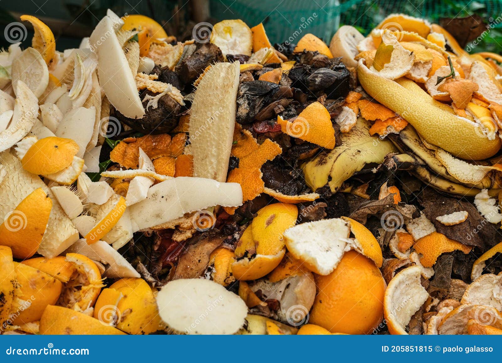 Food Waste Dump Discarded for Composting Fertilizer,consumerism Trash ...