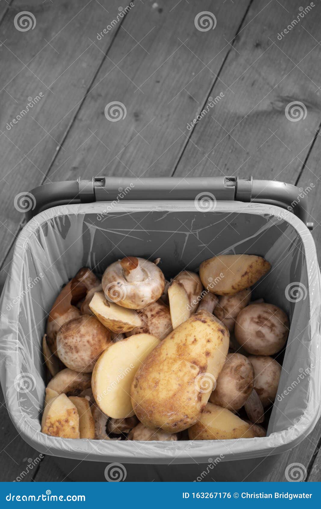 Food Waste Recycling Bin Container with Rotten Vegetables Inside. Food ...