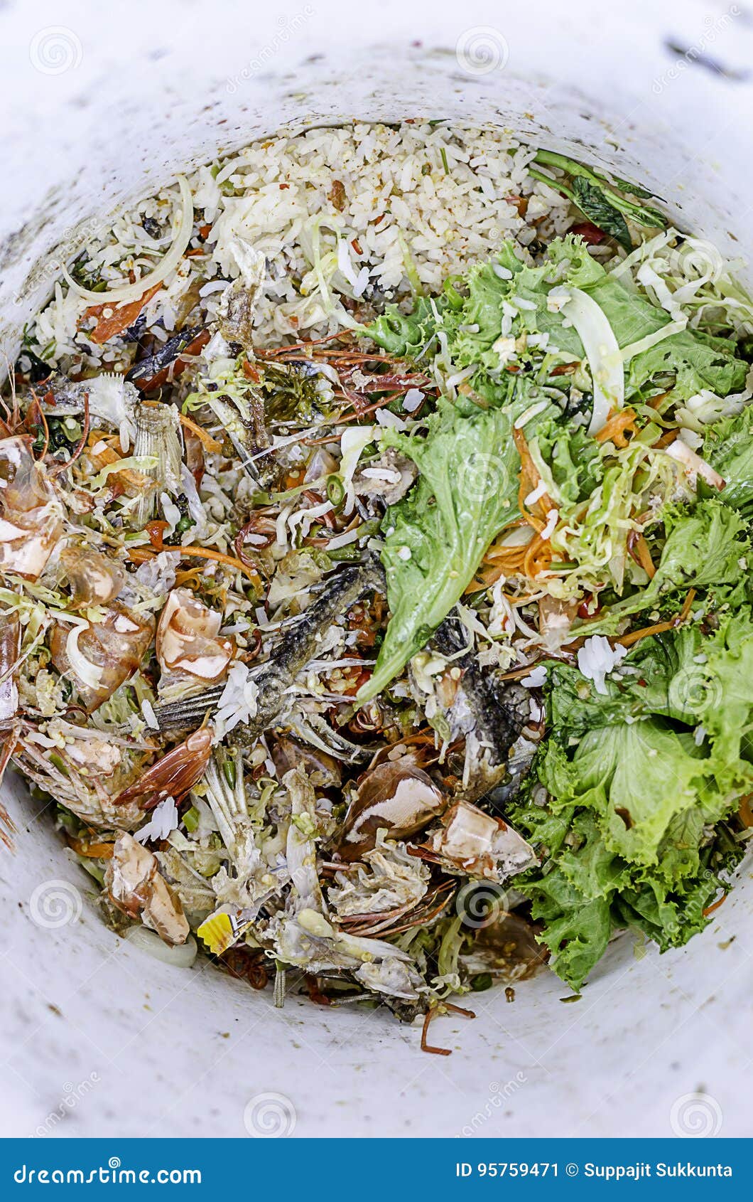 Food Waste: the Source of Waste Polluted in the Earth Stock Image ...