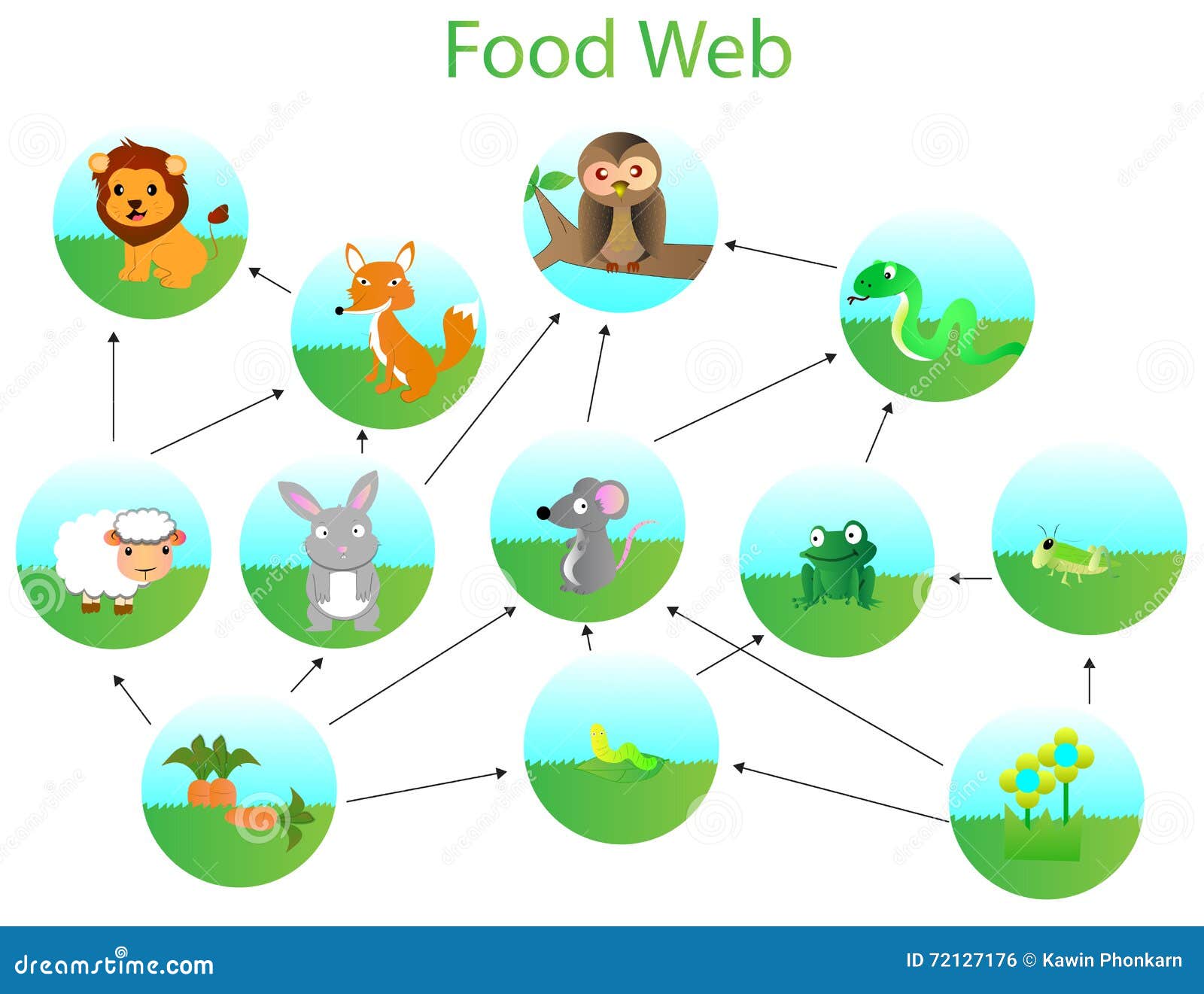 Food web stock vector. Illustration of vector, rabbit - 72127176