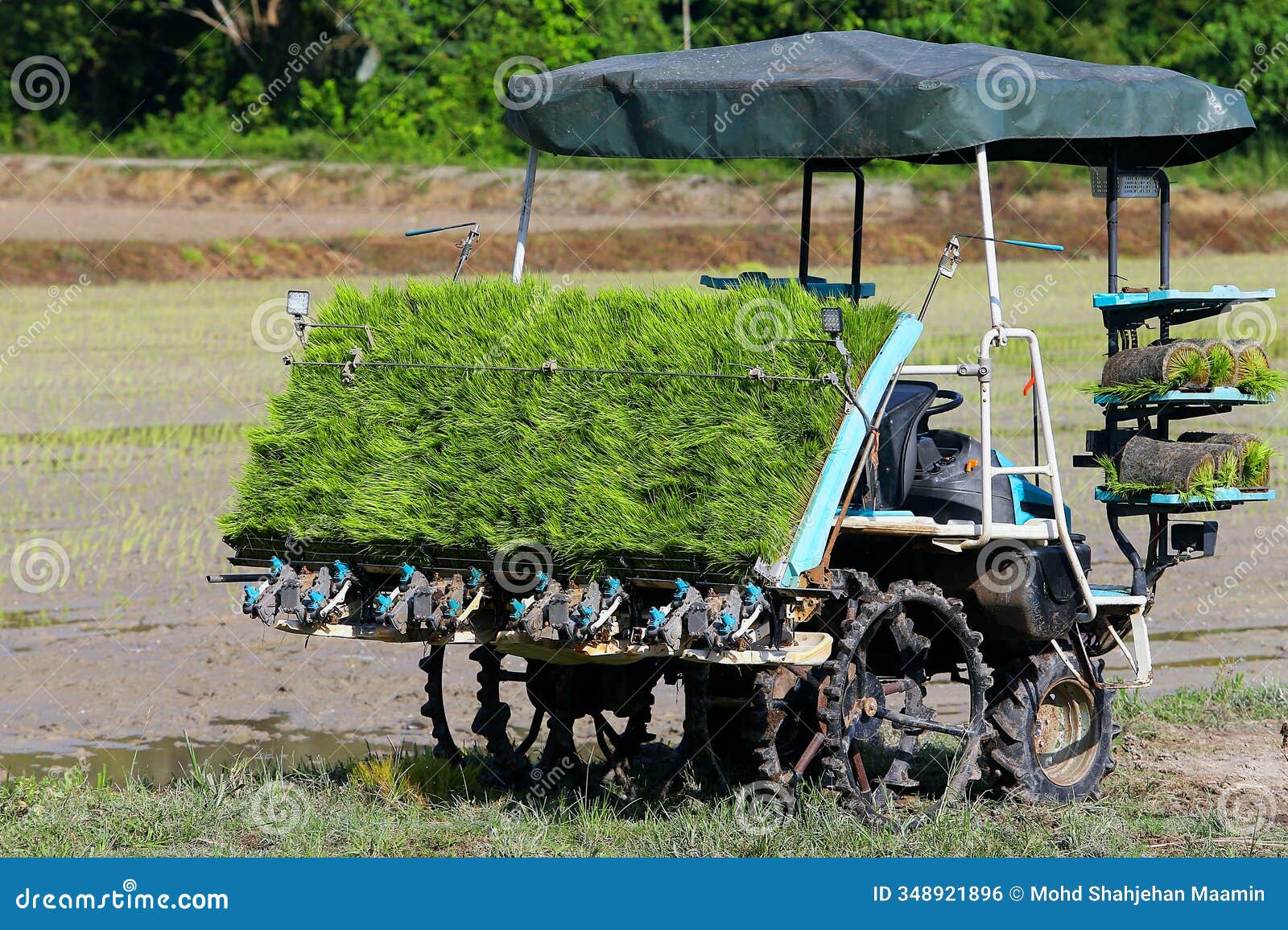 Foods and industry stock photo. Image of fields, pattern - 348921896