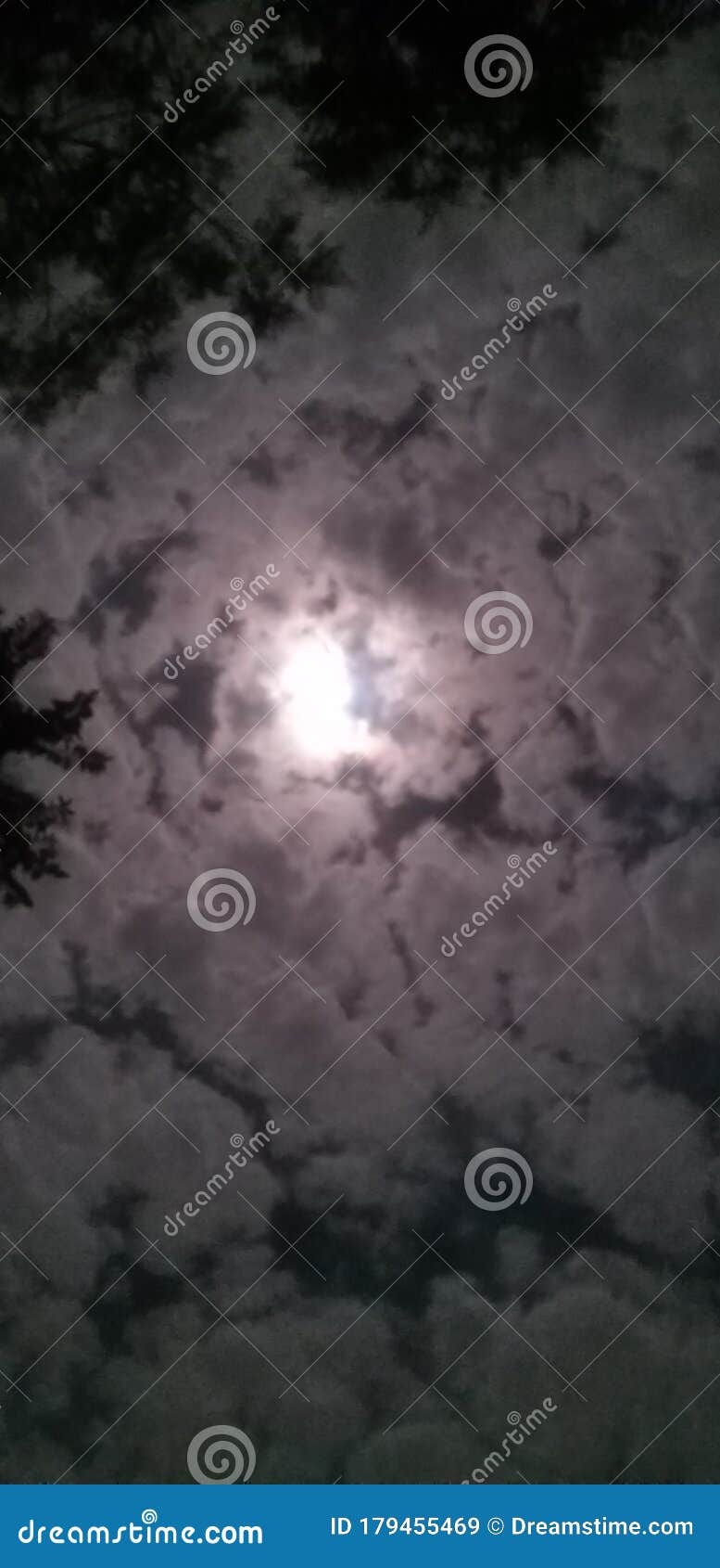 Fool moon night and clouds stock image. Image of fool - 179455469