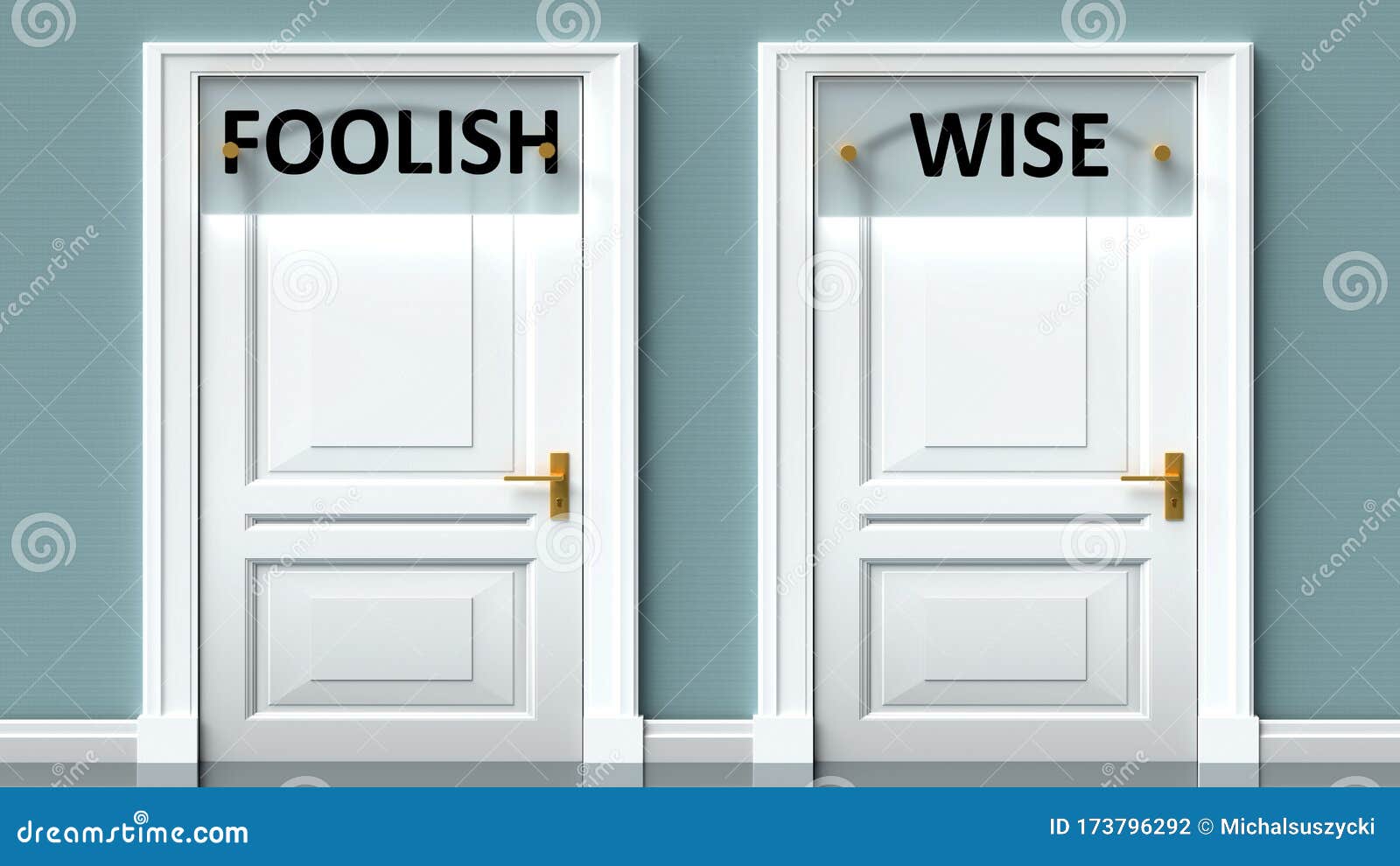 Foolish And Wise As Different Choices In Life - Pictured As Words ... Foolish And Wise As Different Choices In Life - Pictured As Words ...