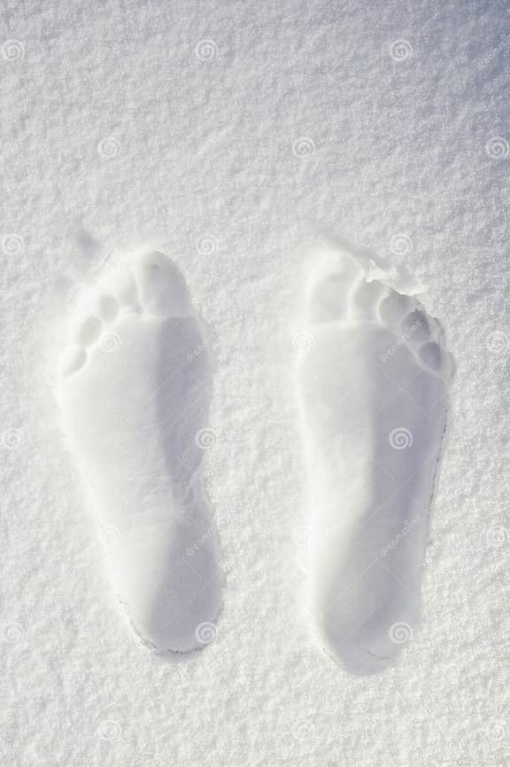 Foot stock image. Image of snowy, path, track, freeze - 11062973