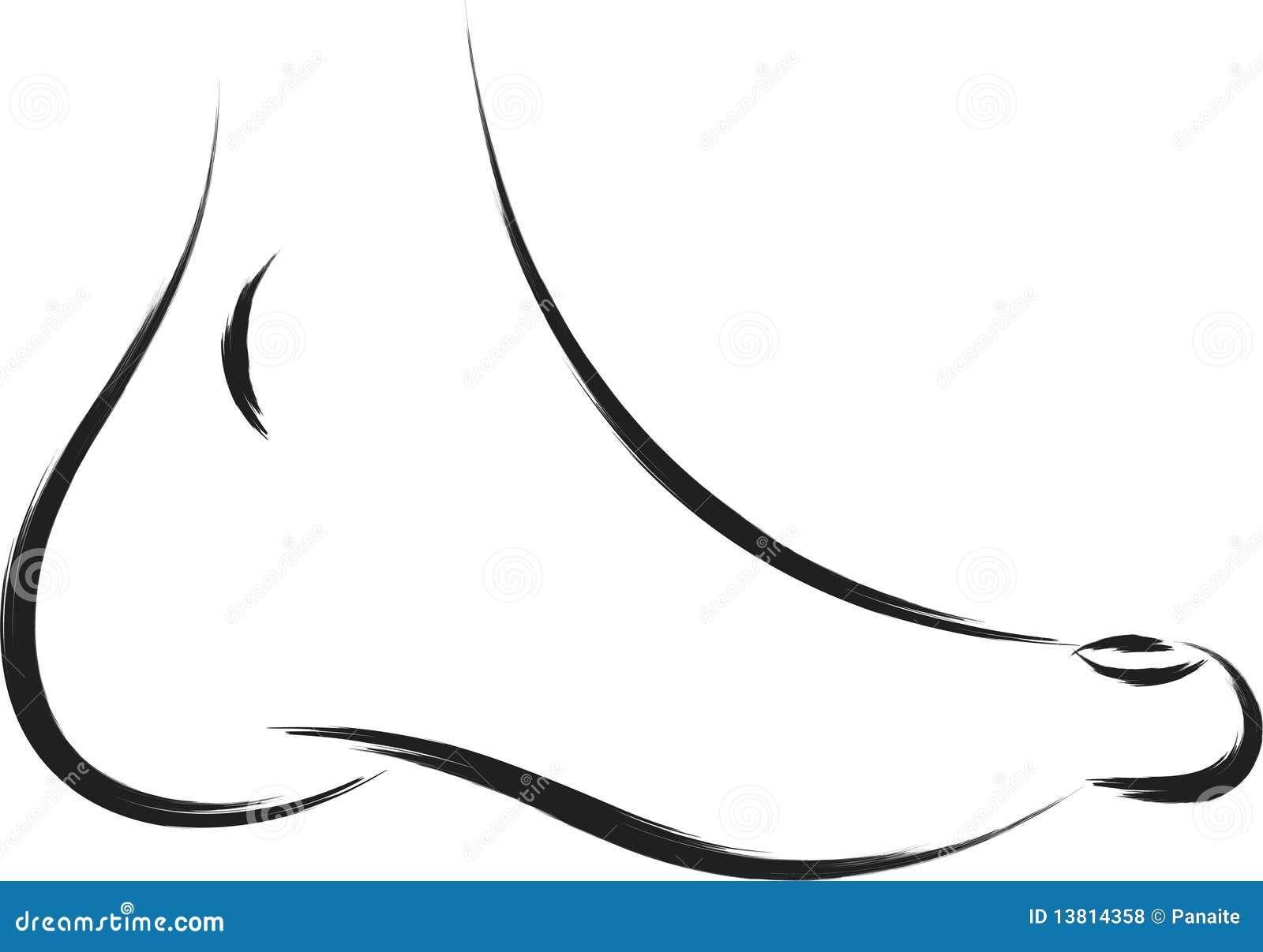 Foot stock vector. Illustration of draw, hand, vector - 13814358