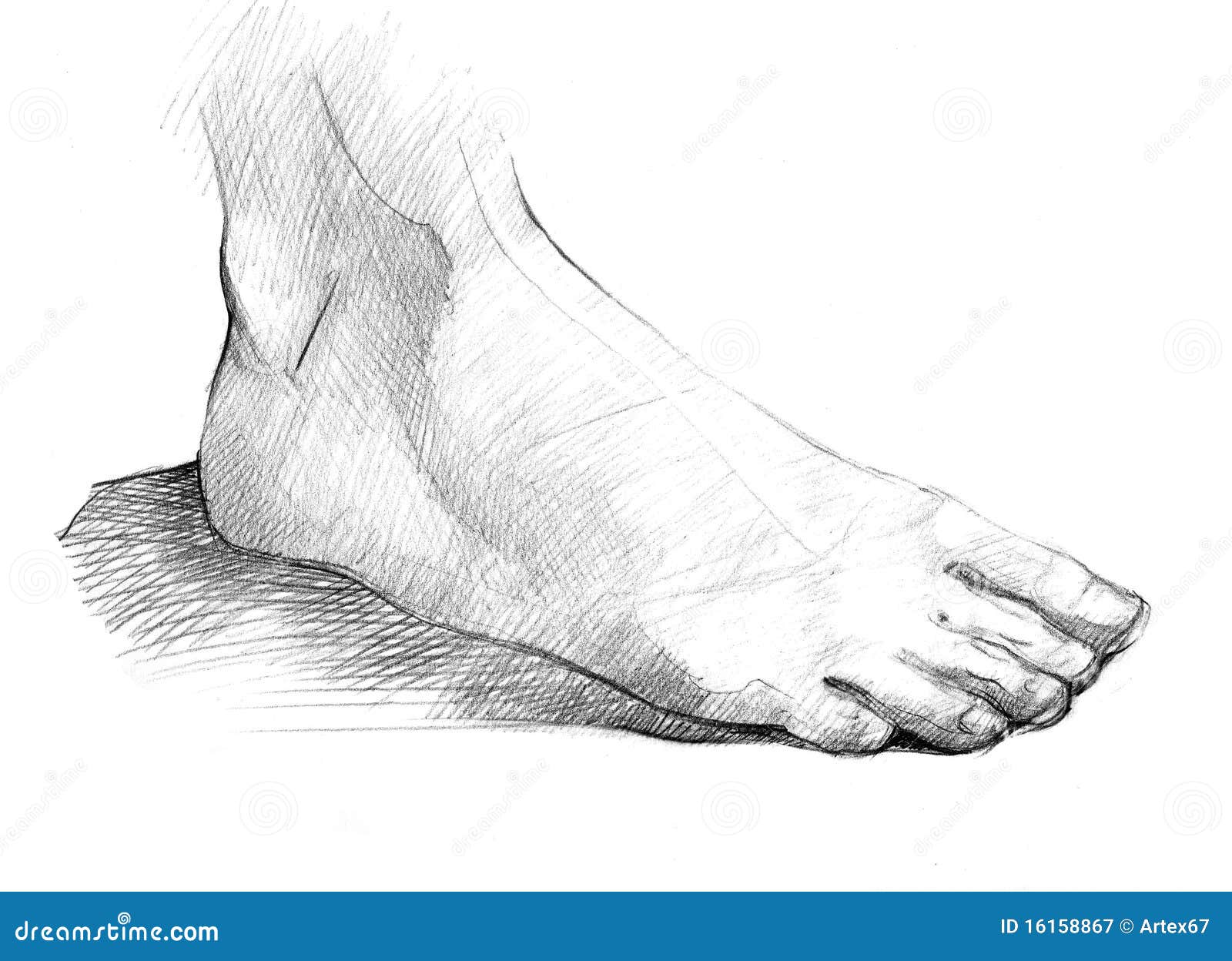 Foot stock illustration. Illustration of people, pencil - 16158867
