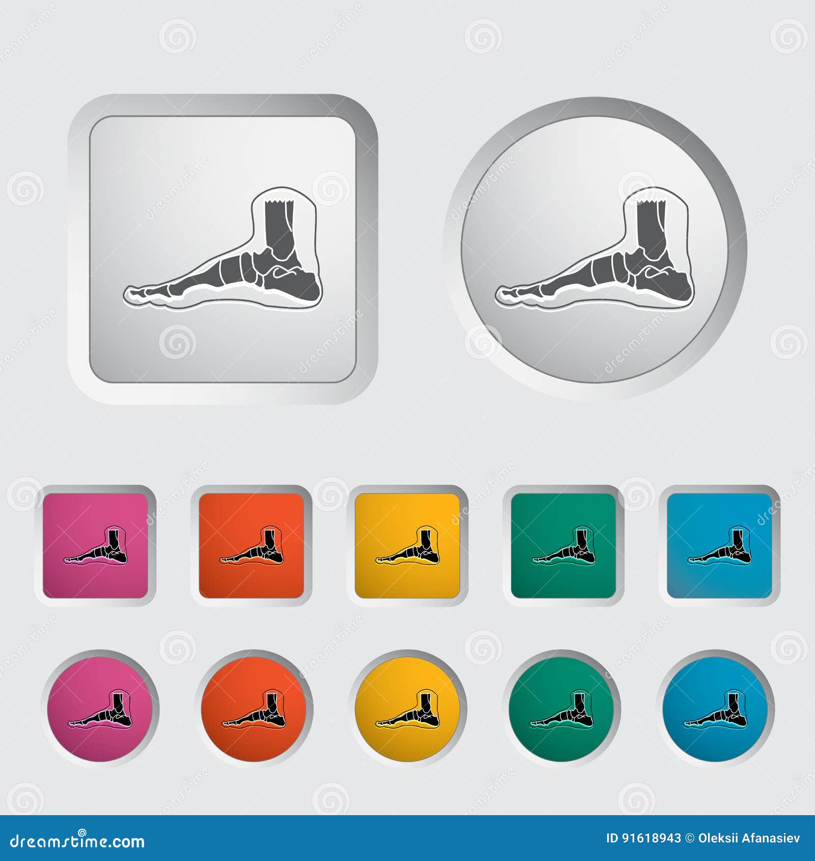 Foot Anatomy Icon. Cartoon Vector | CartoonDealer.com #91618943
