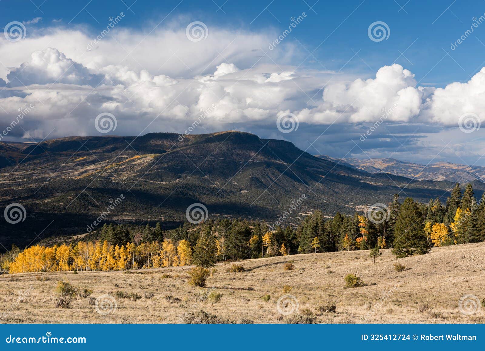 10,856 Foot Agua Ramon Mountain in the Early Autumn. Stock Photo ...