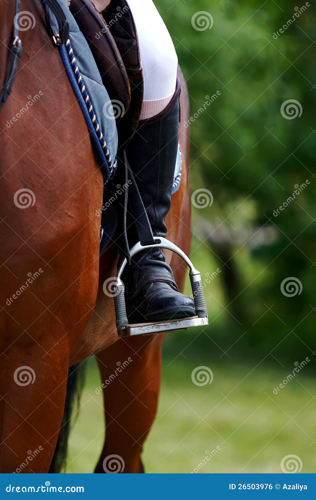 The Foot In The Stirrup Of The Rider In The Correct Position In The ...