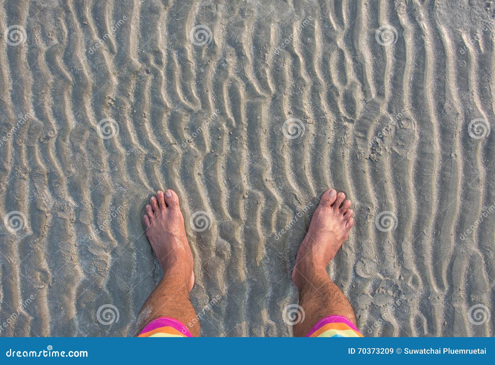 Foot on the beach stock image. Image of beach, woman - 70373209
