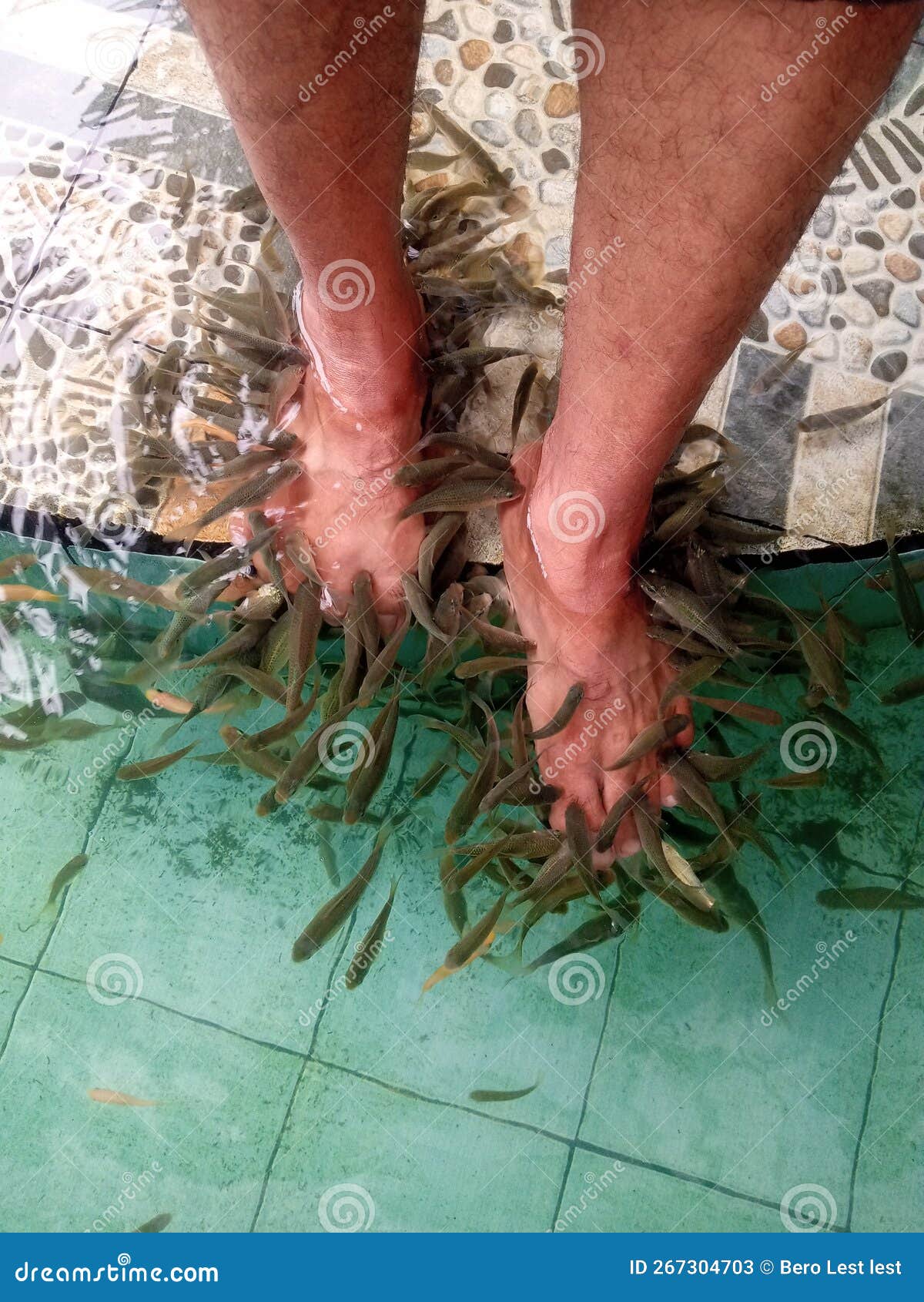 Foot Bitten by a Small Fish As a Treatment Stock Image - Image of small ...