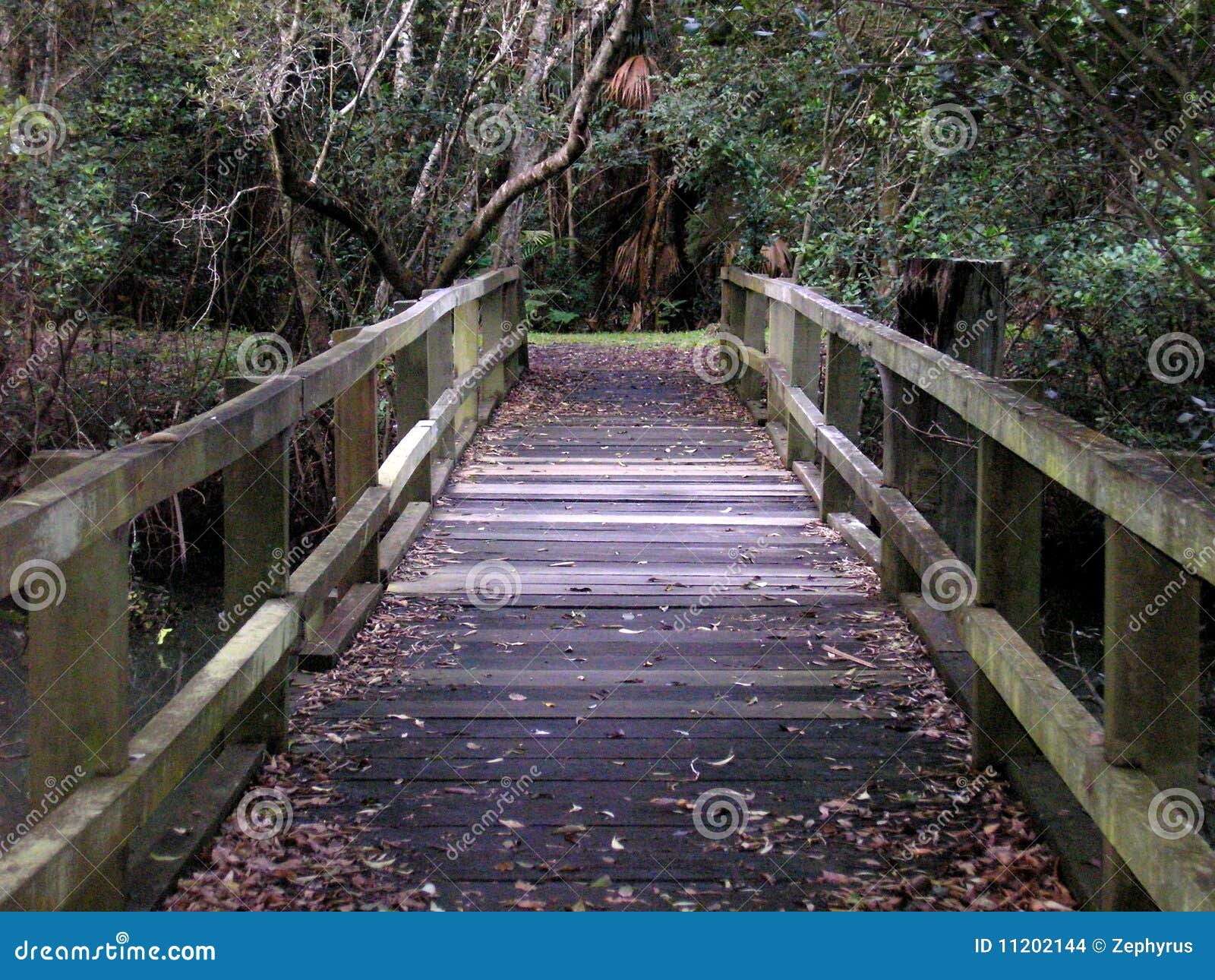 Foot bridge stock photo. Image of bridge, autumn, leaves - 11202144