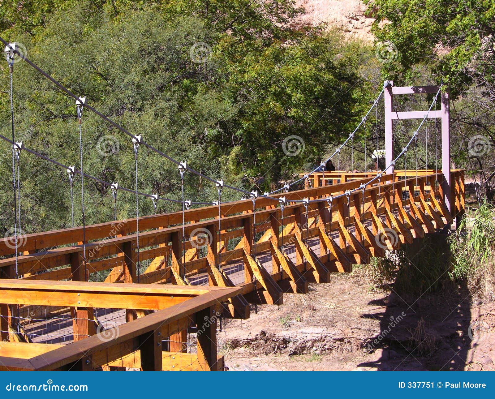 Foot Bridge stock image. Image of trail, woods, trees, metal - 337751