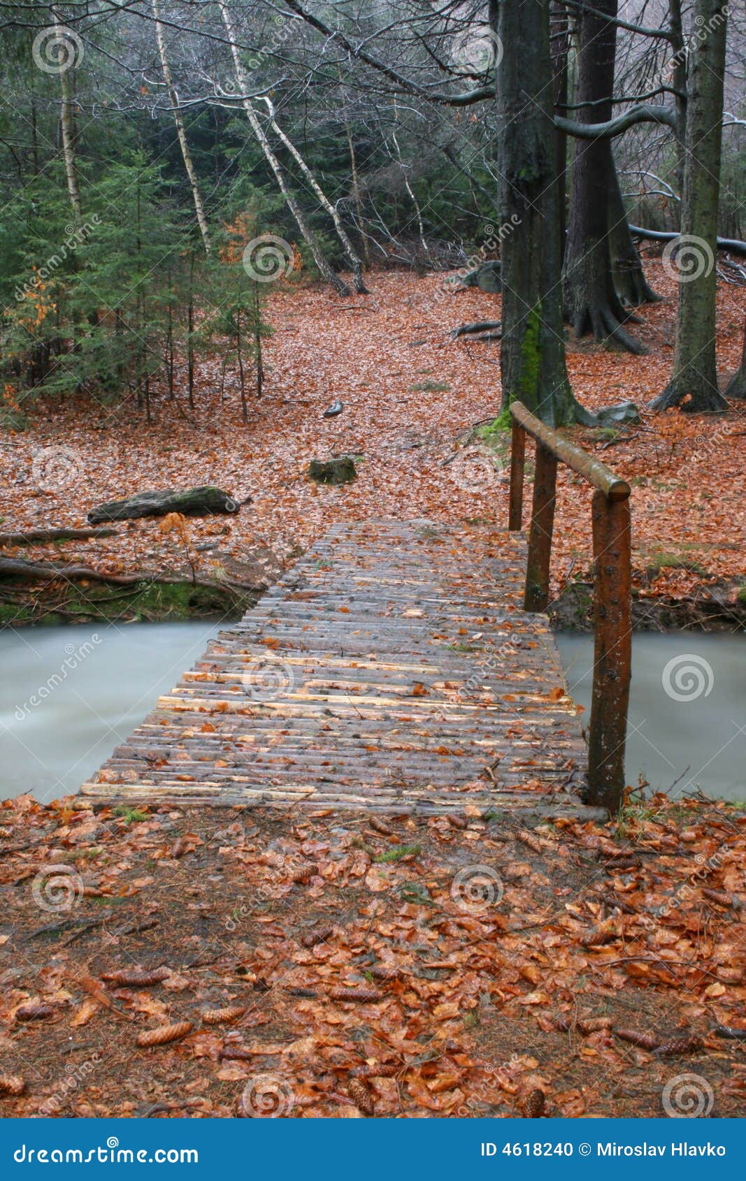 Foot Bridge Picture. Image: 4618240