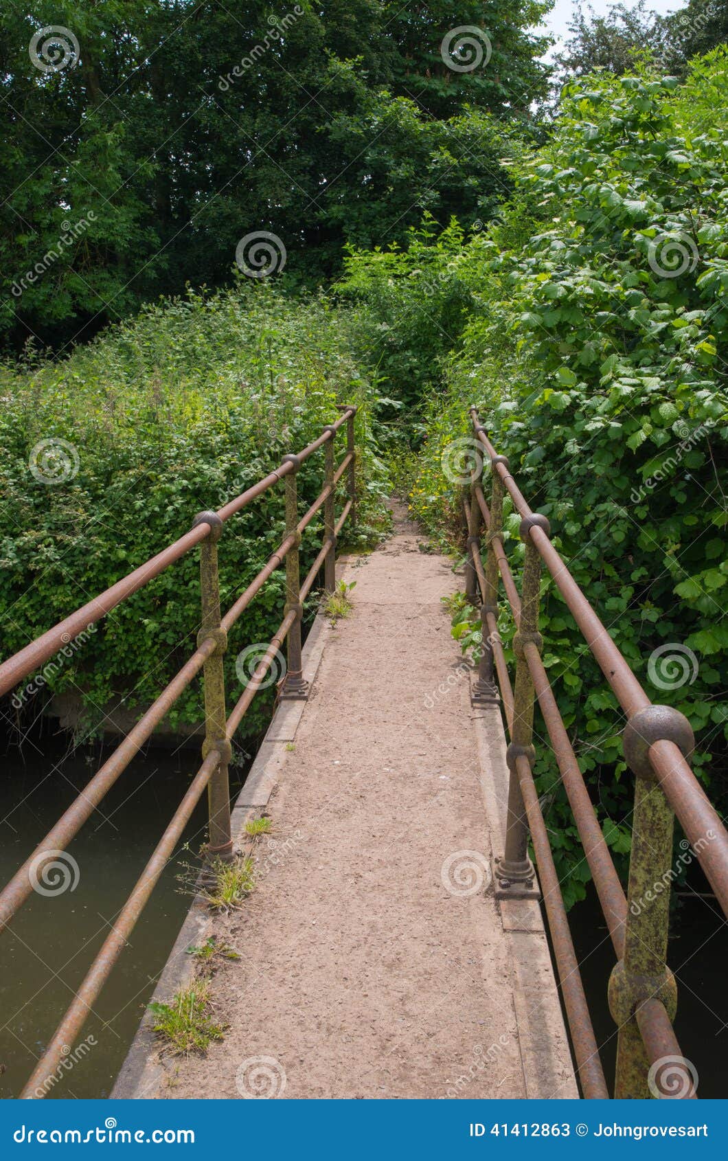 Foot Bridge into Dense Foliage Stock Image - Image of railings ...