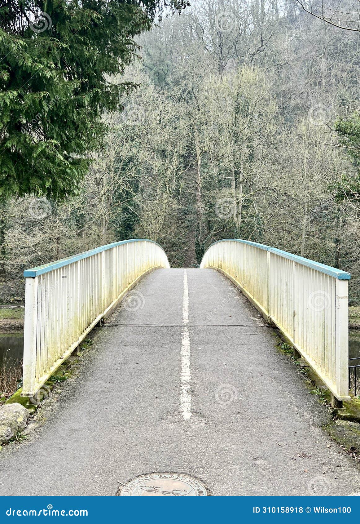 Foot Bridge stock photo. Image of travel, walk, traffic - 310158918