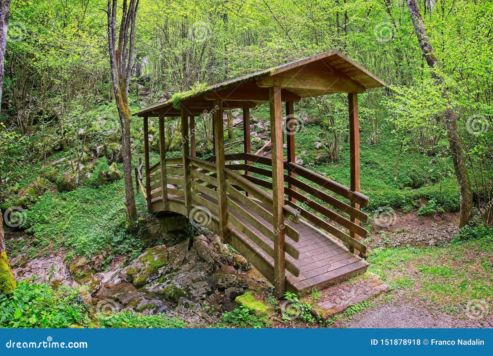 Foot Bridge on Trail in Forest Stock Photo - Image of scenery, outdoors ...