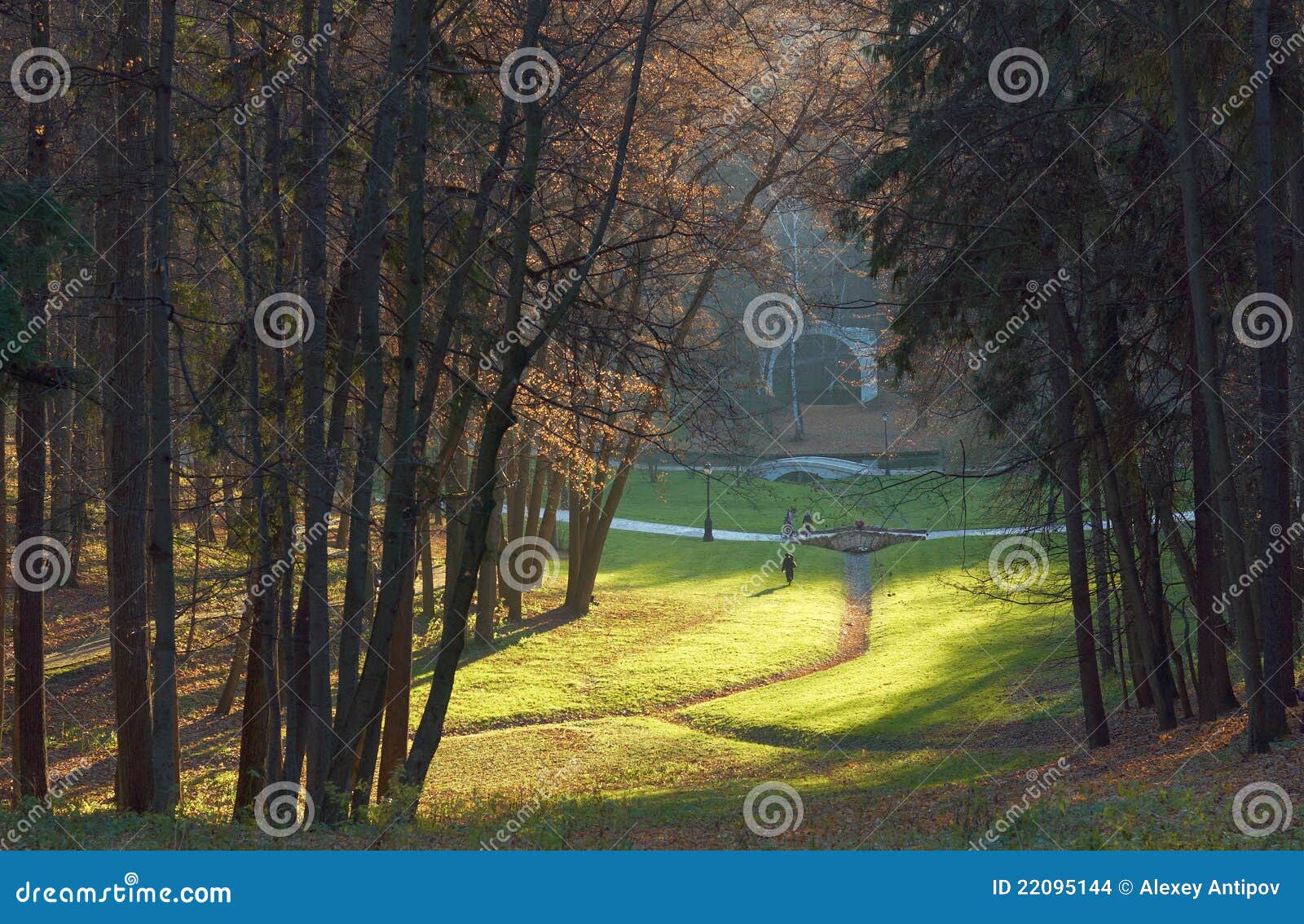 Foot Bridges and Grassy Plot in Autumn Park Stock Photo - Image of ...