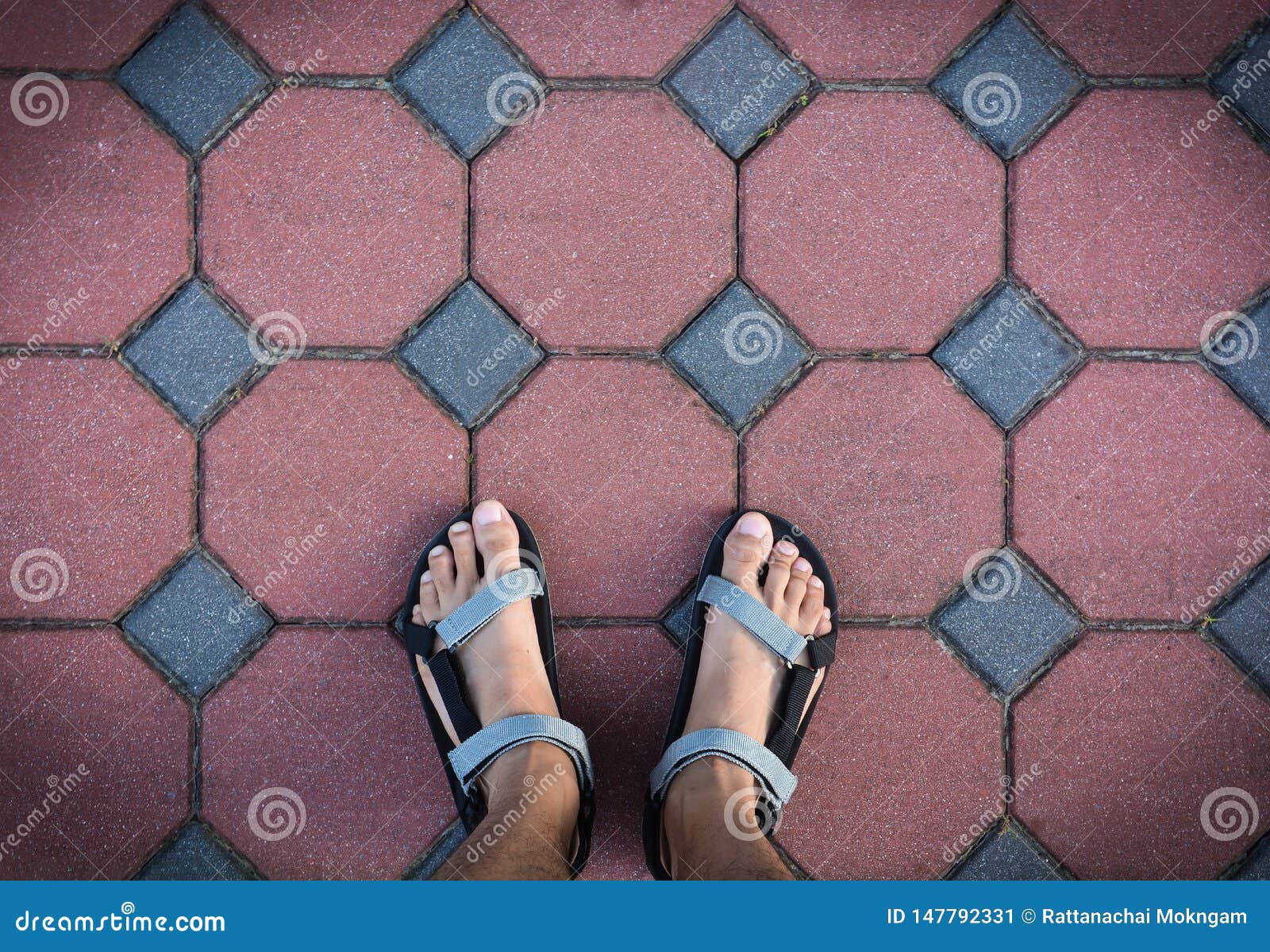 Foot on Cement Brick Block Walk Path from Above Stock Image - Image of ...