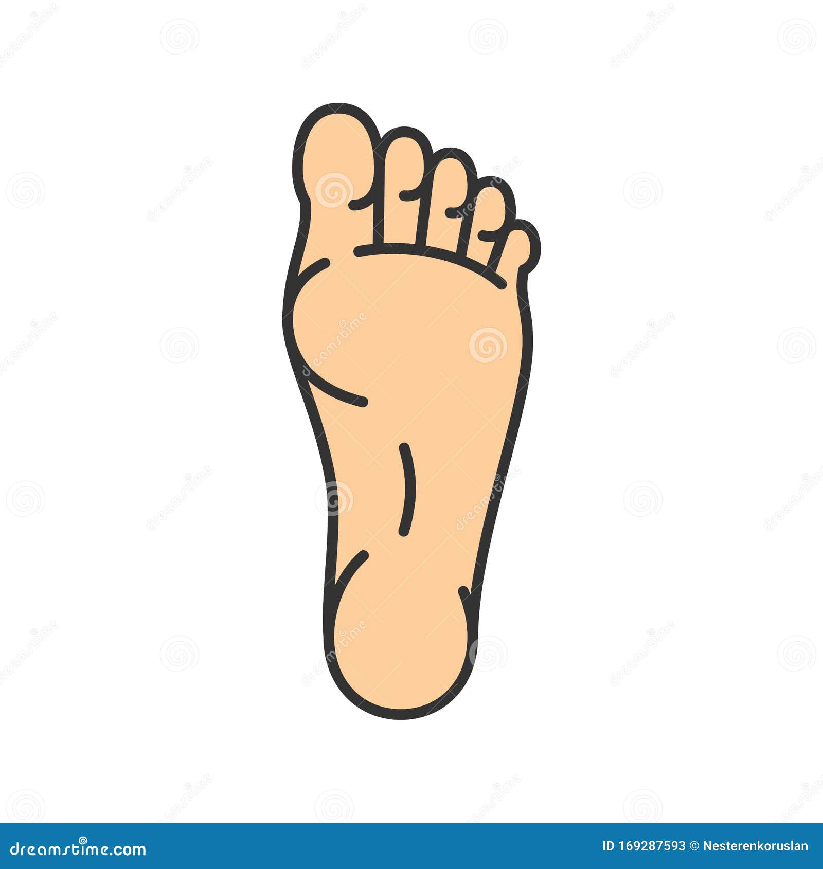 Foot color icon stock vector. Illustration of finger - 169287593
