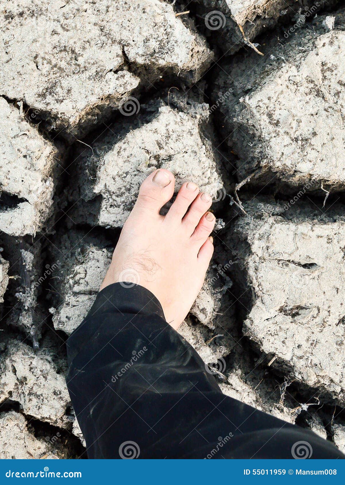 Foot stock image. Image of nature, rough, foot, soil - 55011959