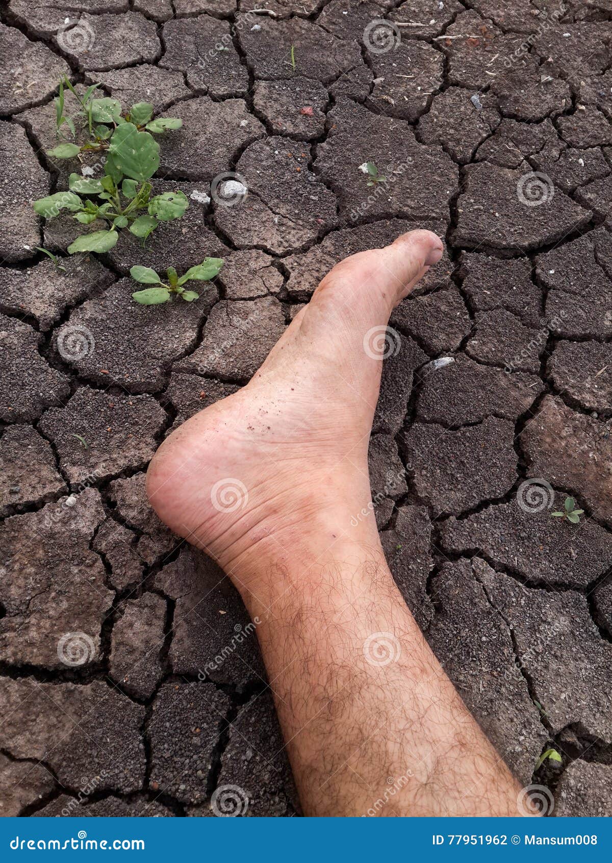 Foot on crack soil stock photo. Image of people, foot - 77951962
