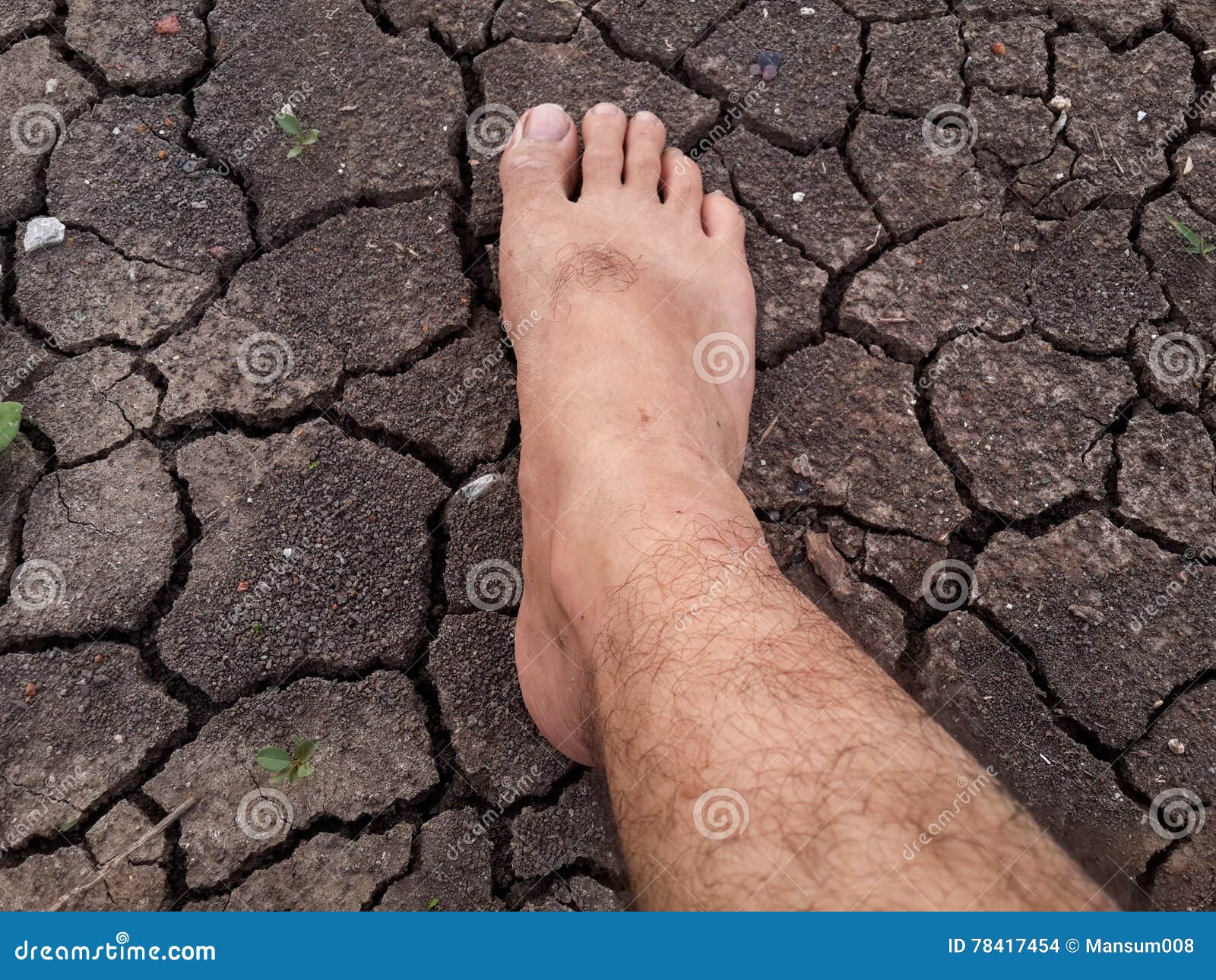 Foot on crack soil stock photo. Image of surface, soil - 78417454