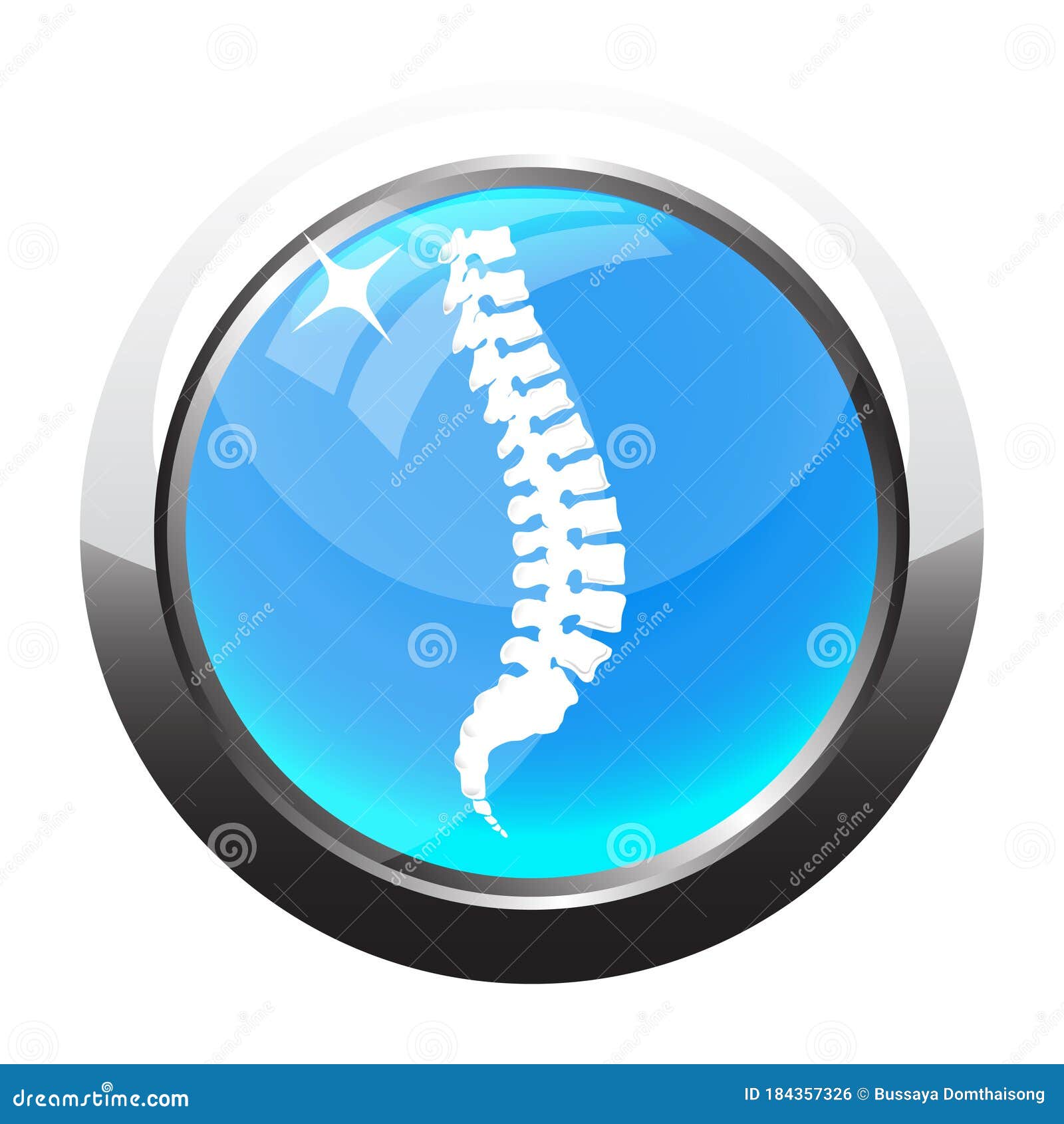 Whole Spine Bone 3D Icon. Vector Flat Design for Radiology Orthopedic ...