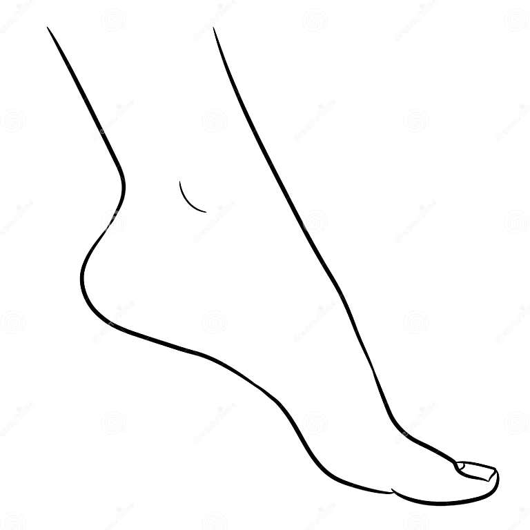 Foot Female From The Contour Black Brush Lines On White Background