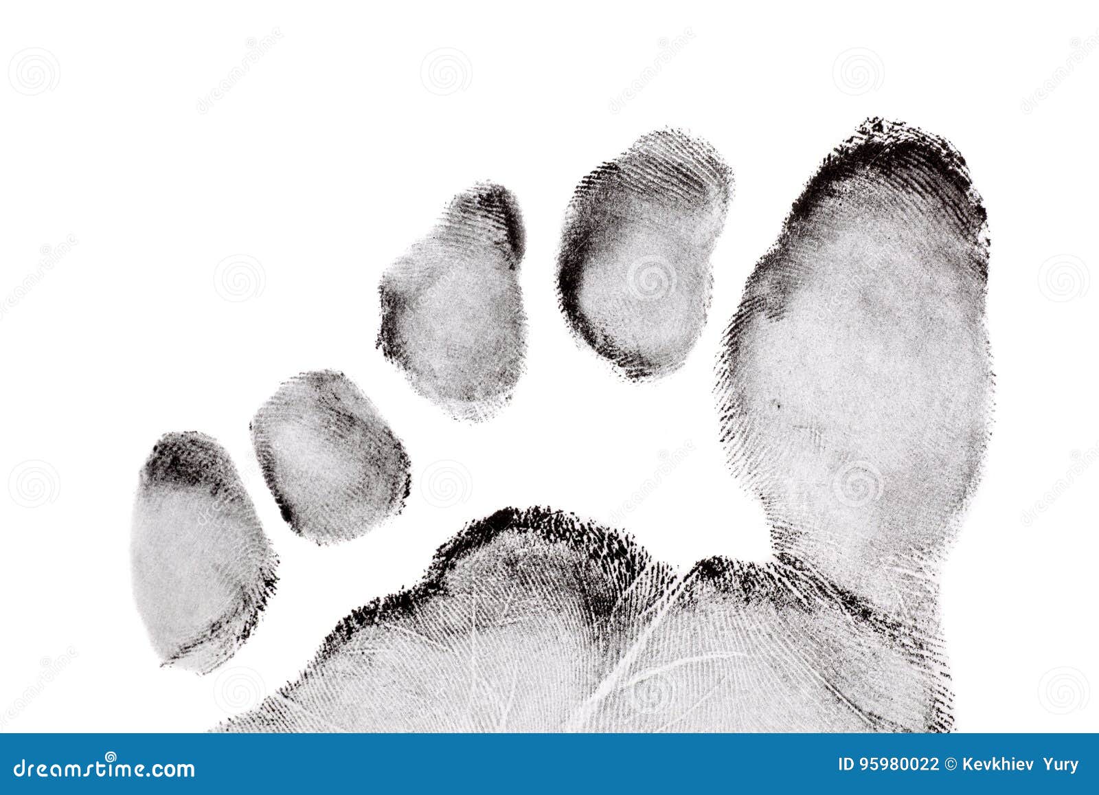 Foot Finger Print Identification Stock Photo - Image of splotch ...