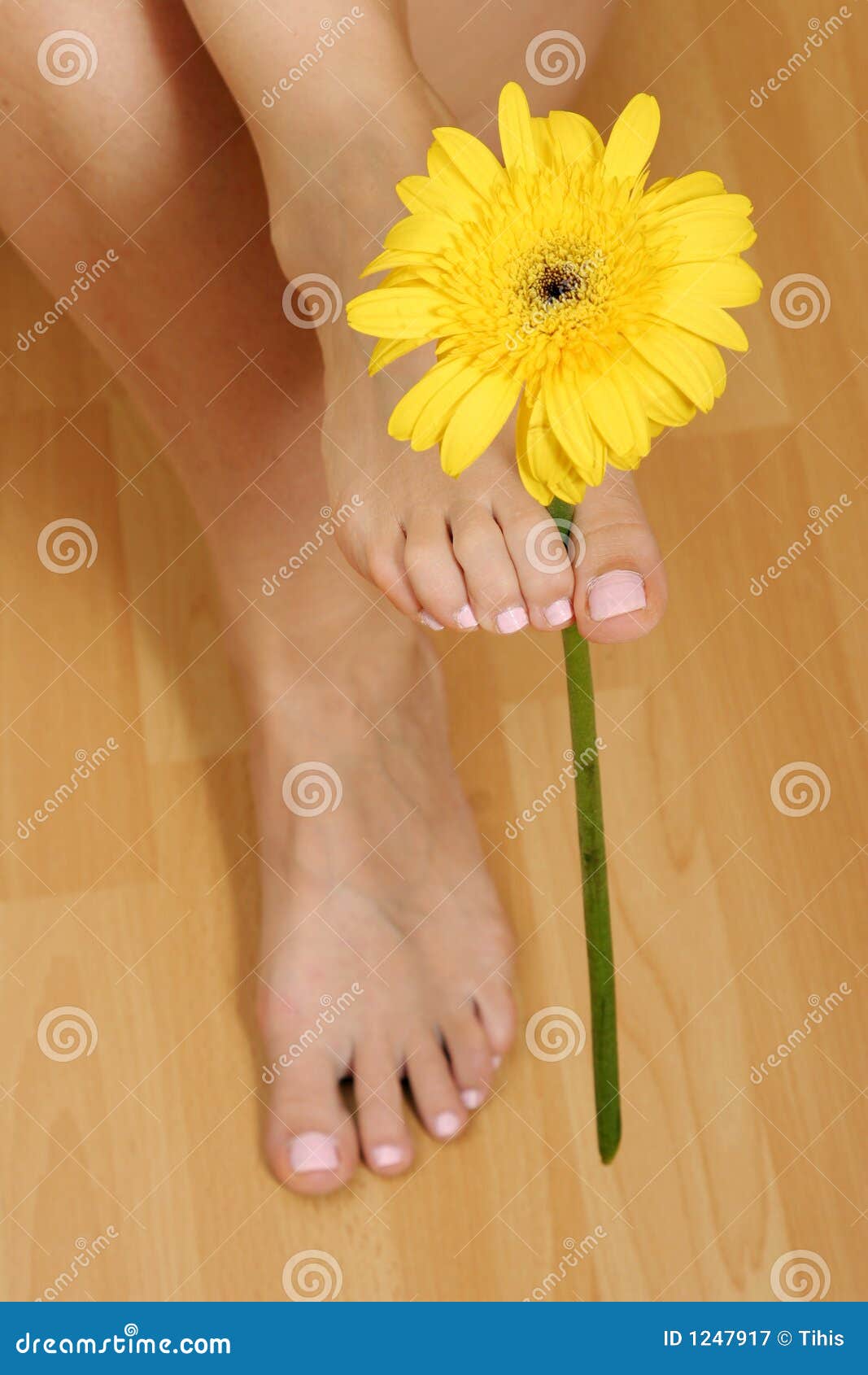 Foot with flower stock image. Image of flower, sole, petals - 1247917