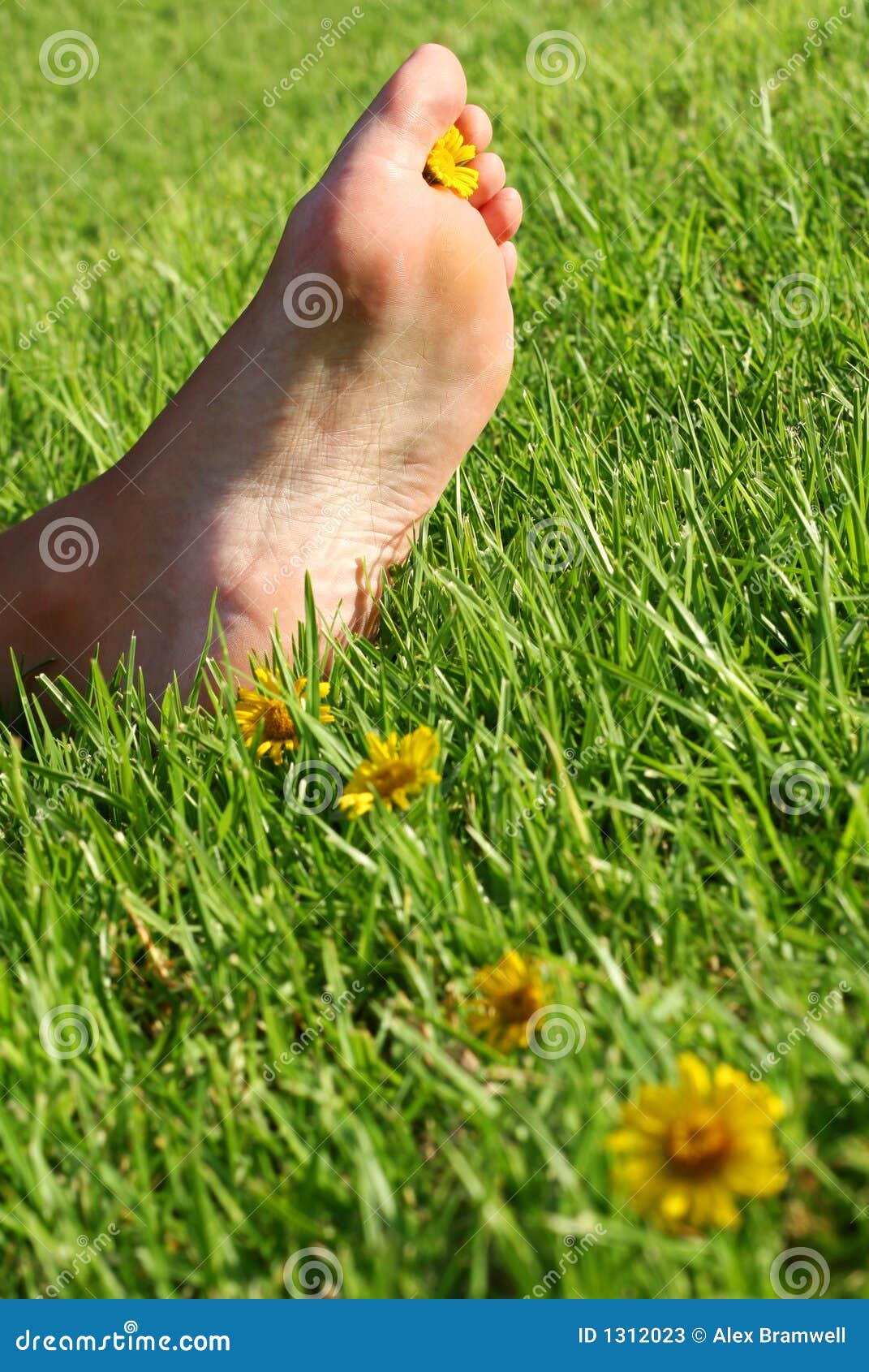 Foot and Flowers stock image. Image of bright, holiday - 1312023