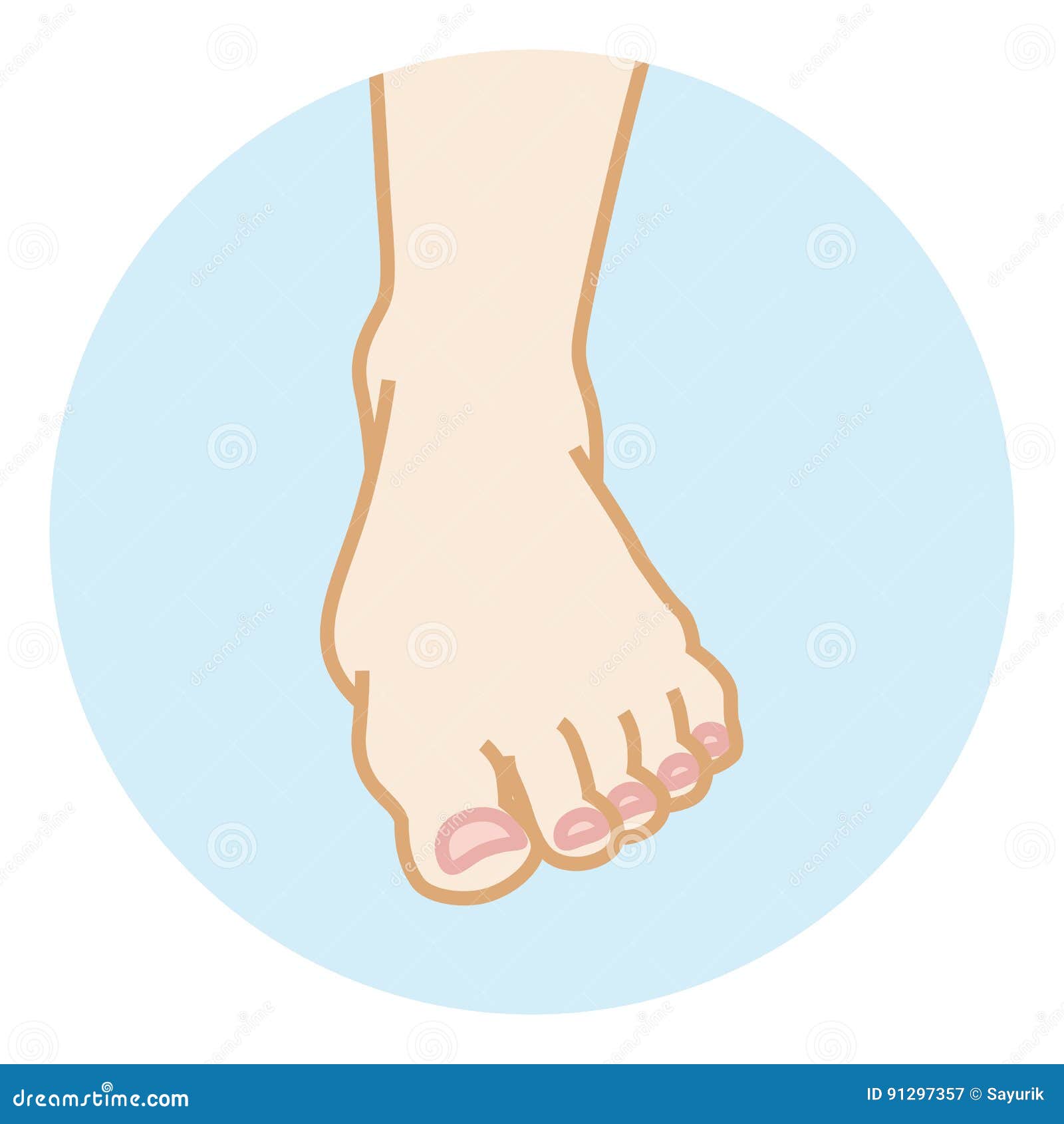 Human Foot Front View