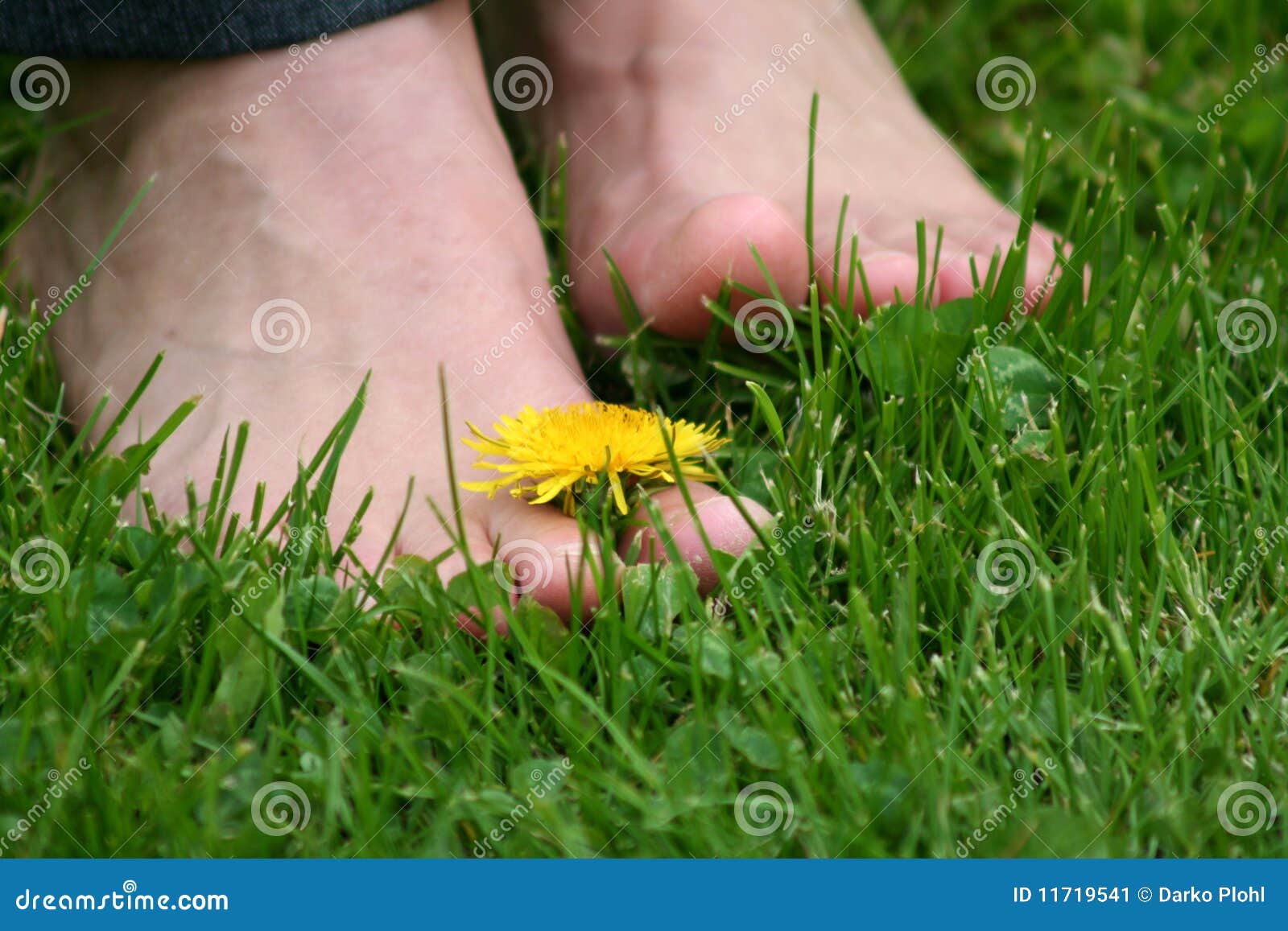 Foot on the grass stock image. Image of foot, ecological - 11719541