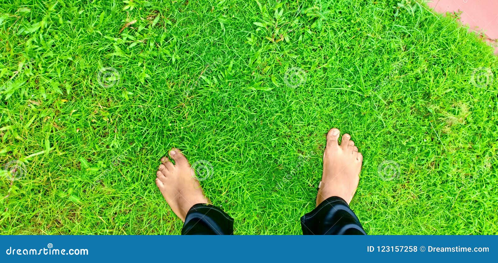 Foot on grass stock photo. Image of feel, fresh, grass - 123157258
