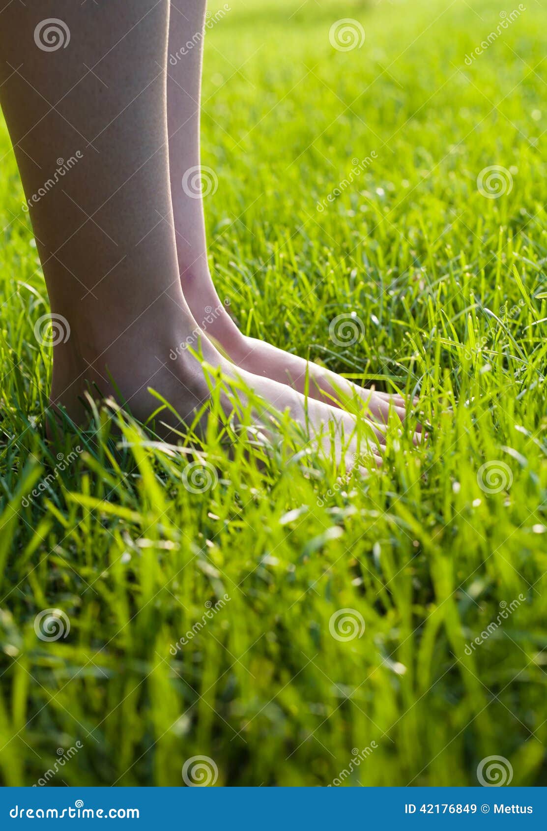 Foot in the Grass. Legs on the Grass Stock Image - Image of heel ...