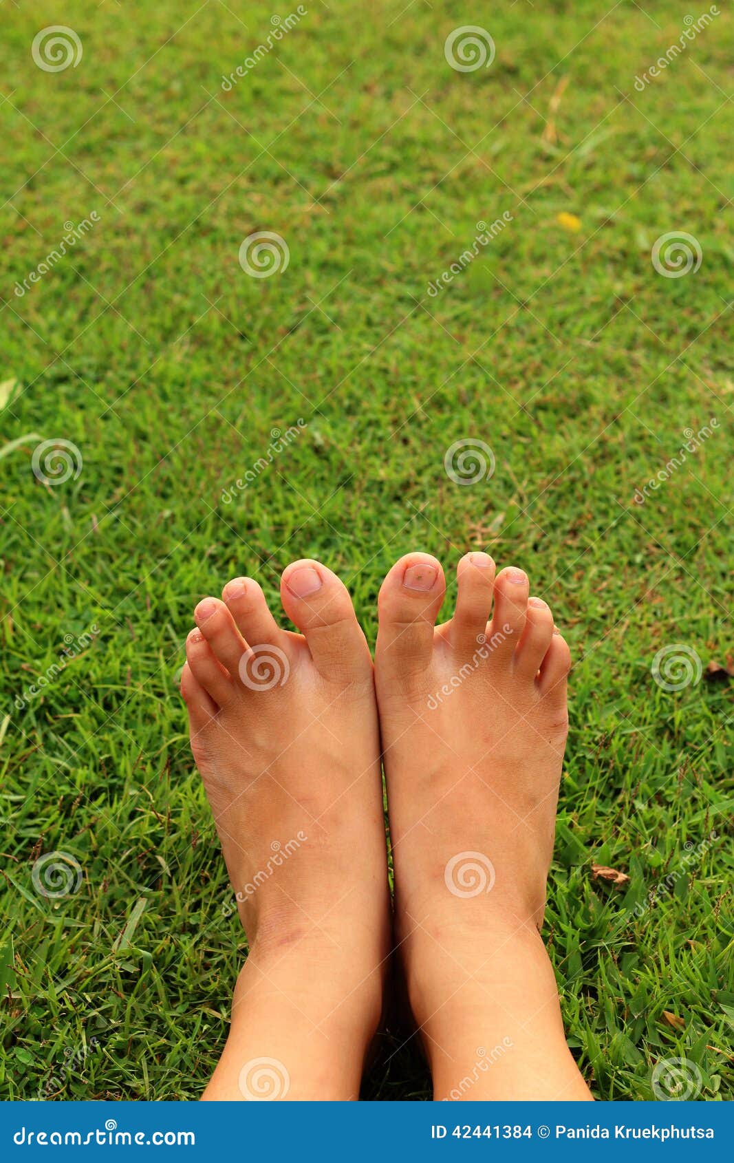 Foot on the Green Grass in the Lawn. Stock Photo - Image of barefoot ...