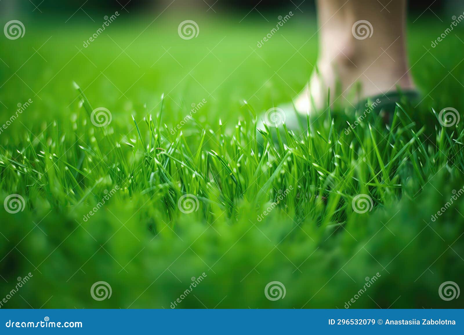 Foot on Green Grass, Side View. Generative AI Stock Illustration ...