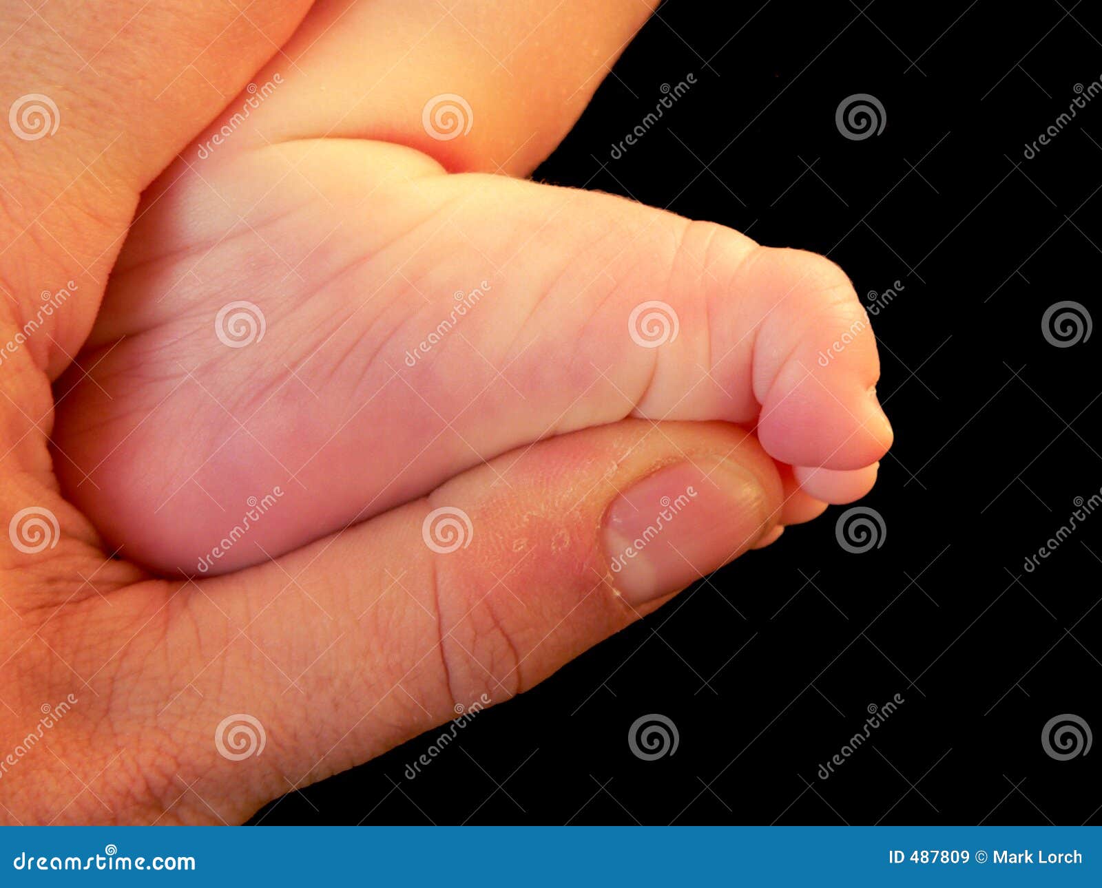 Foot in hand stock image. Image of thumb, newborn, child - 487809
