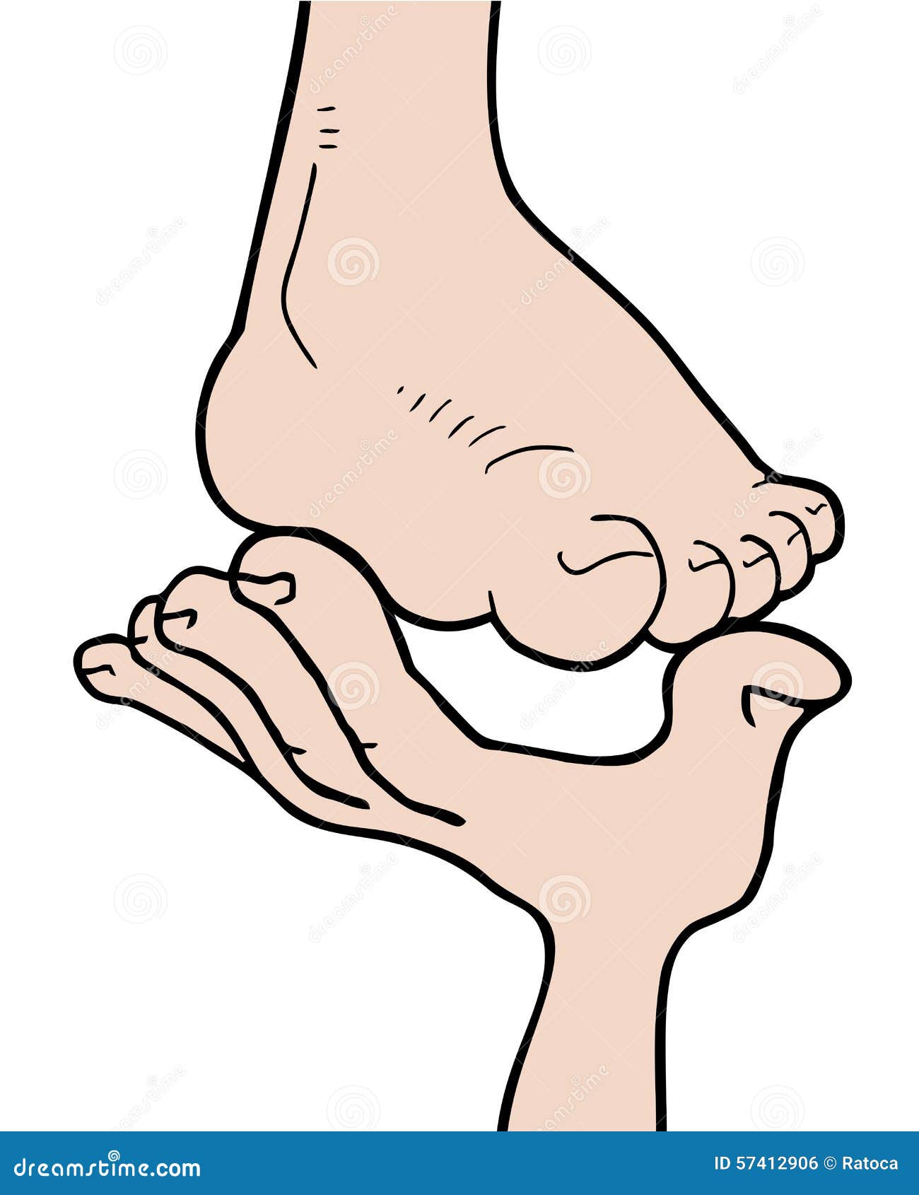 Foot and hand stock vector. Illustration of hand, parts - 57412906