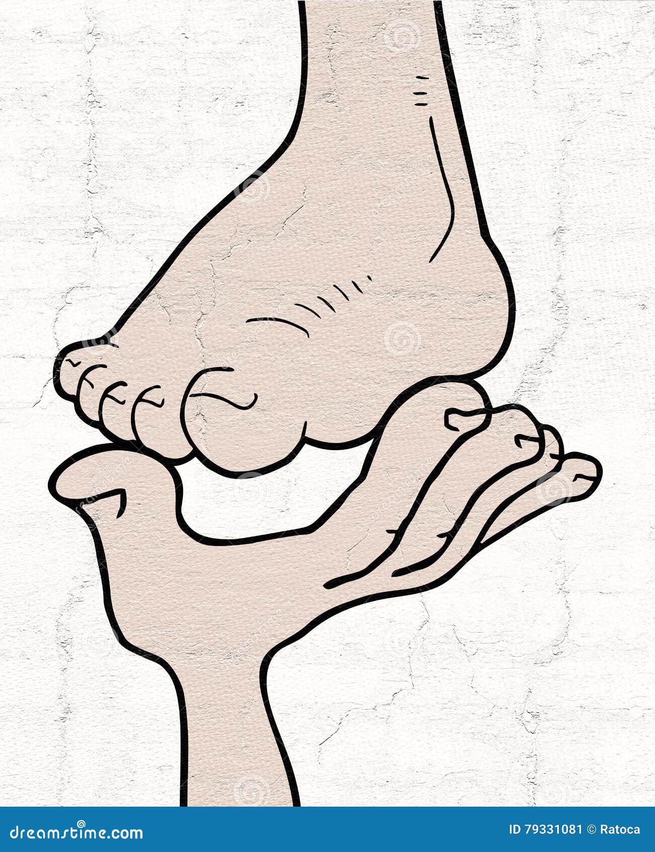 Foot and hand stock illustration. Illustration of parts - 79331081